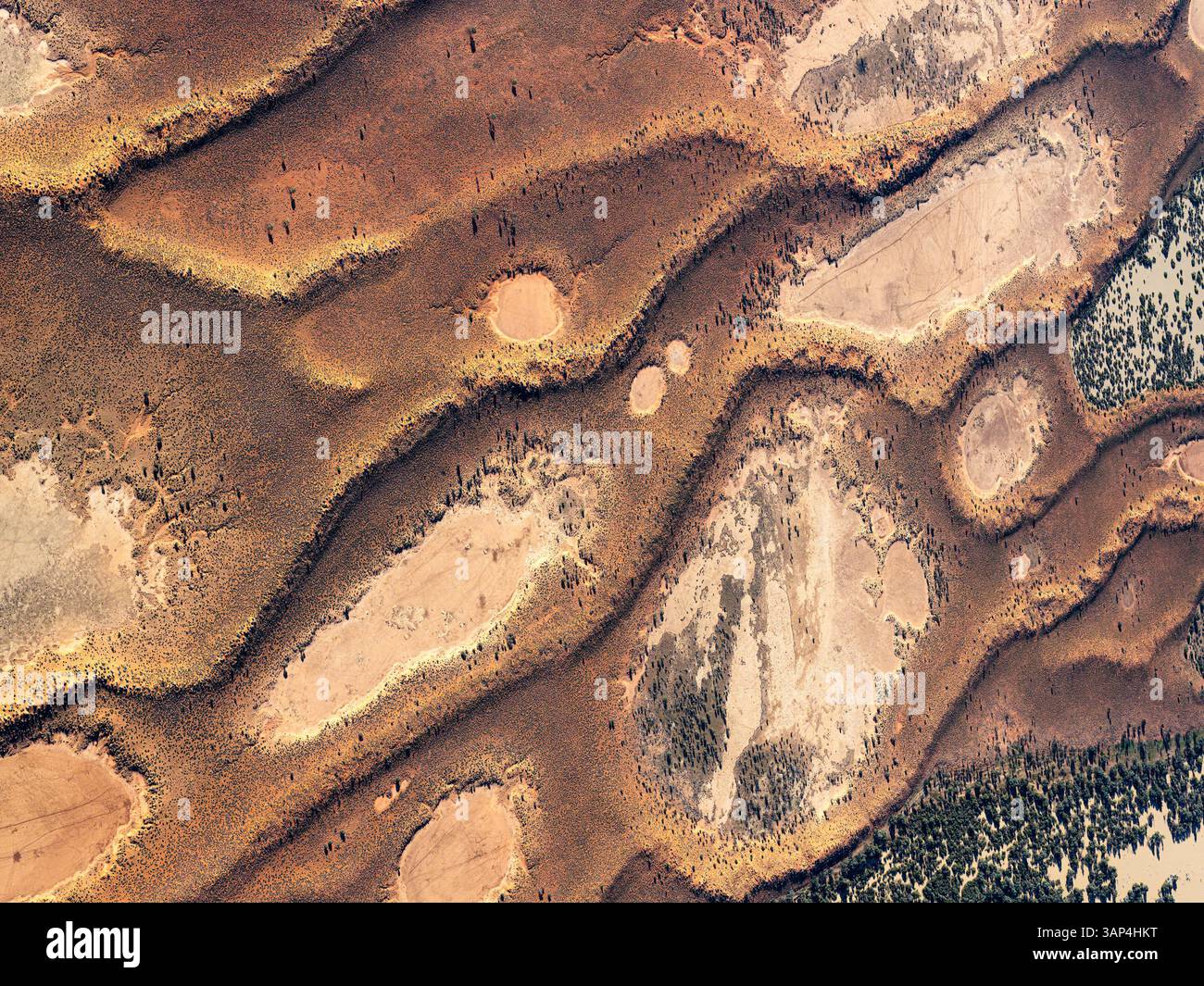 Aerial view of Diamantina River and flood plain with channel country ...
