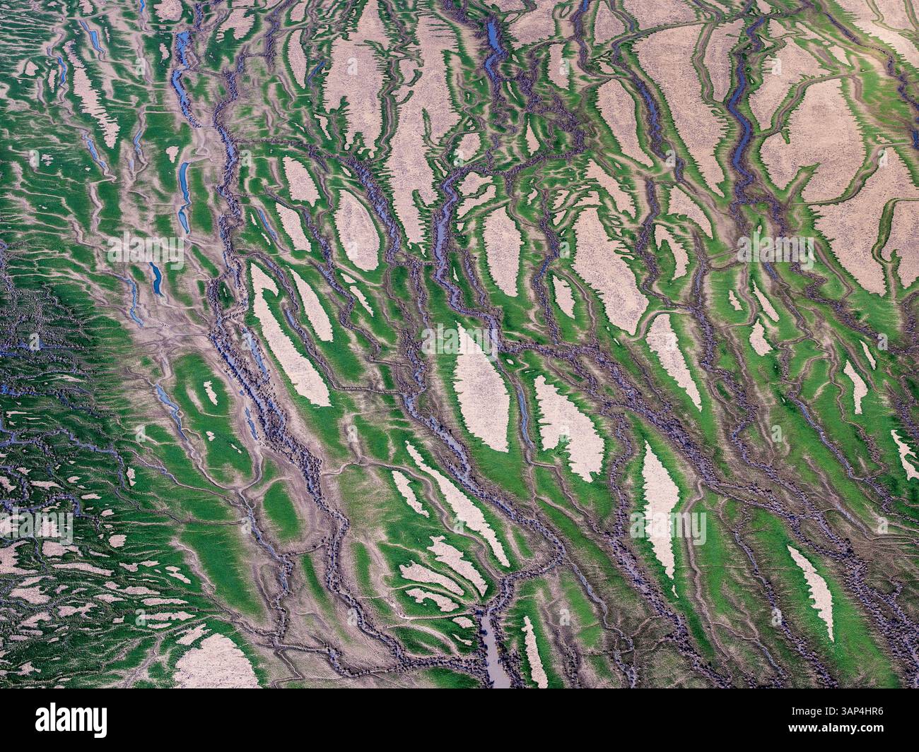 Aerial view of Cooper Creek and Channel Country flood plain, Noccundra ...