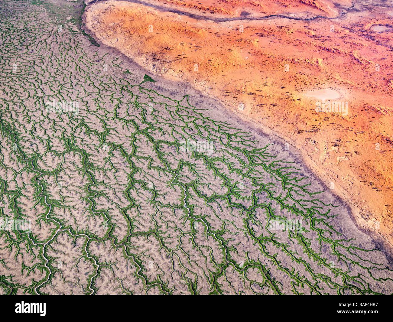 Aerial view of Cooper Creek and Channel Country flood plain, Noccundra ...