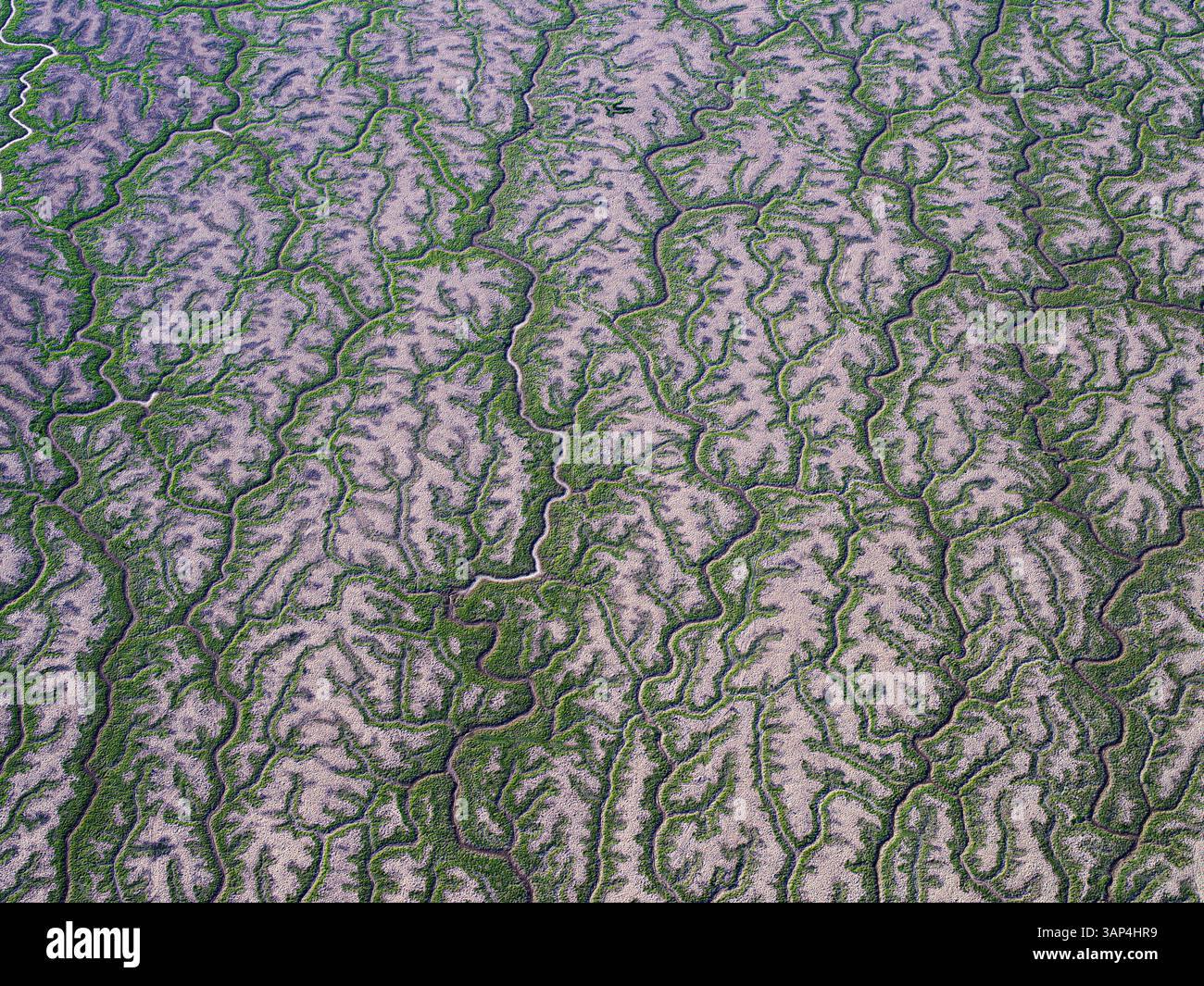 Aerial view of Cooper Creek winding through flood plain, Channel ...