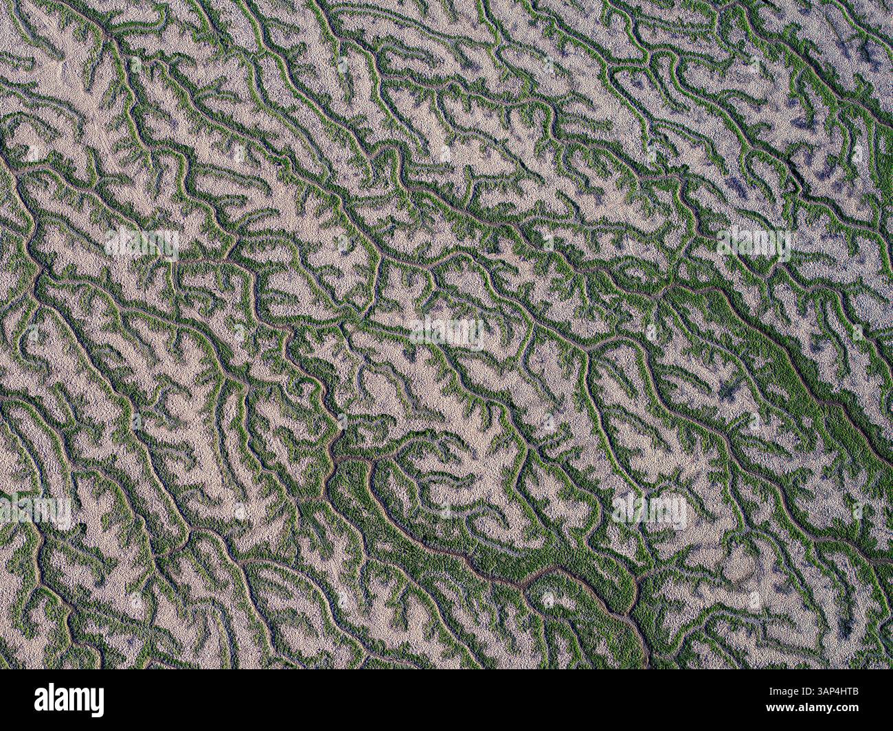 Aerial view of flood plain with meandering waterways and lush ...