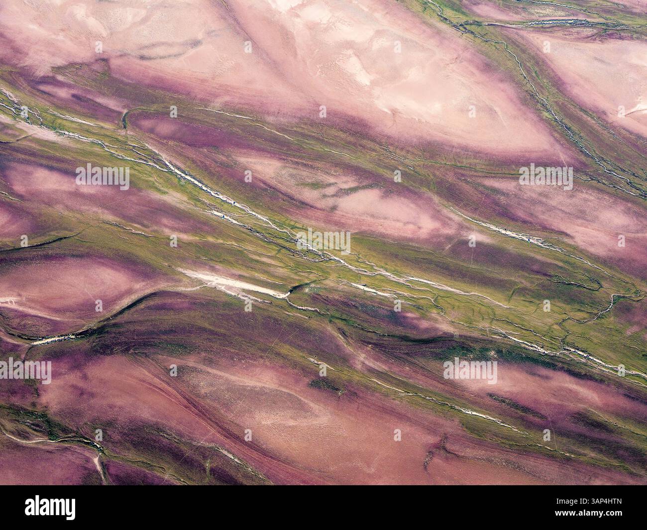 Aerial view of flood plain and river in Channel Country, Queensland ...