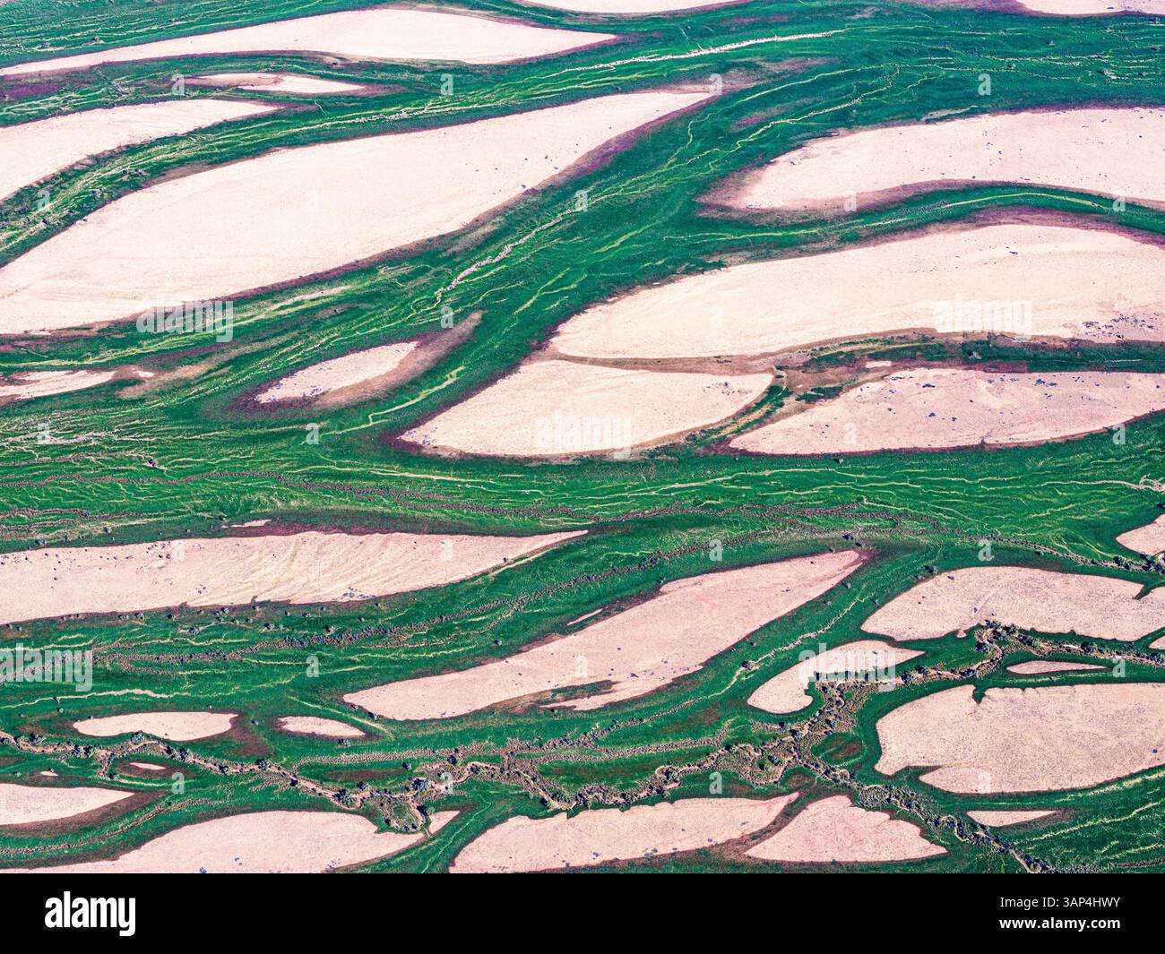 Aerial view of flood plain along Cooper Creek in Channel Country ...