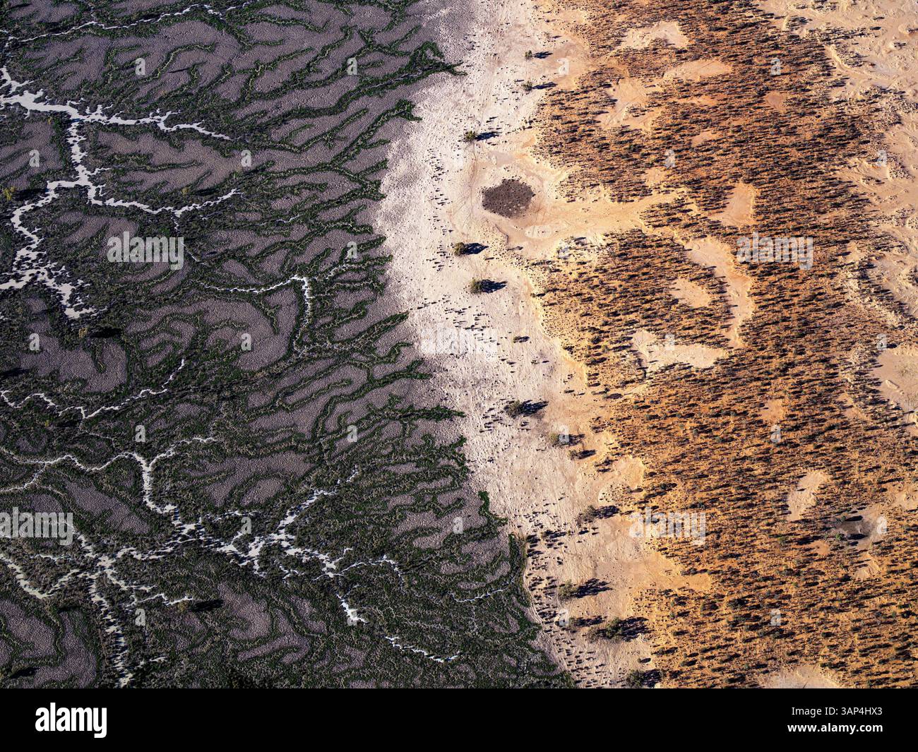 Aerial view of wetland and dryland contrast in Cooper Creek, Channel ...