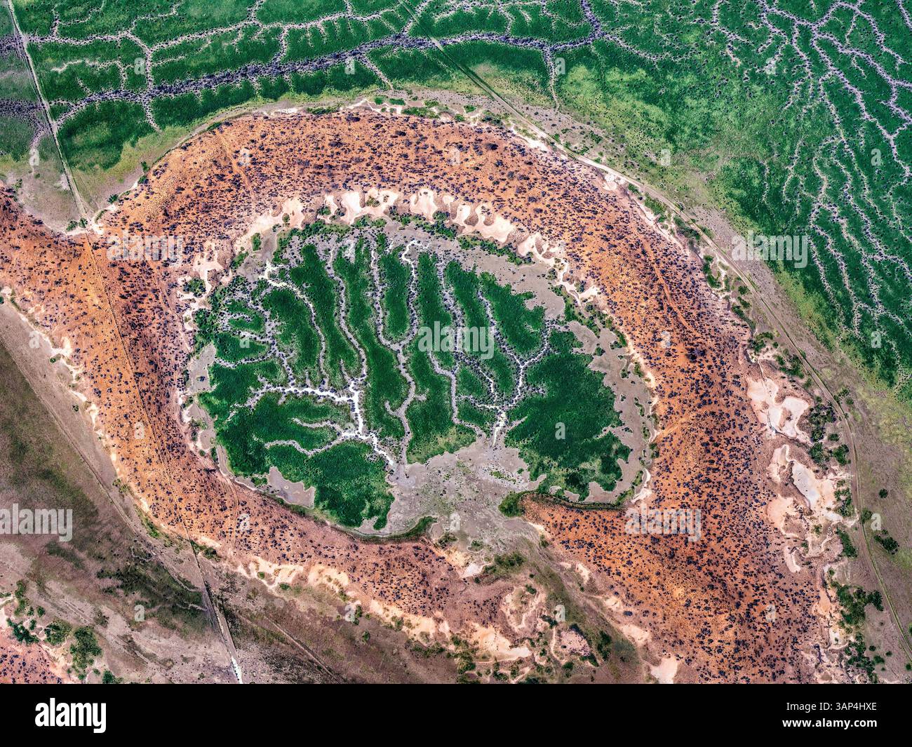 Aerial view of flood plain along Cooper Creek in Channel Country ...