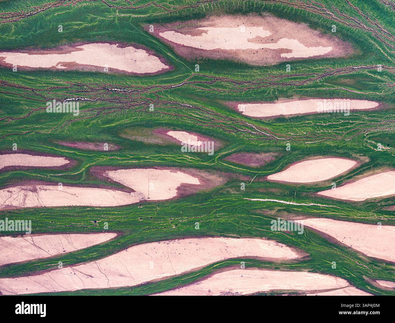 Aerial view of flood plain and Cooper Creek in Channel Country ...