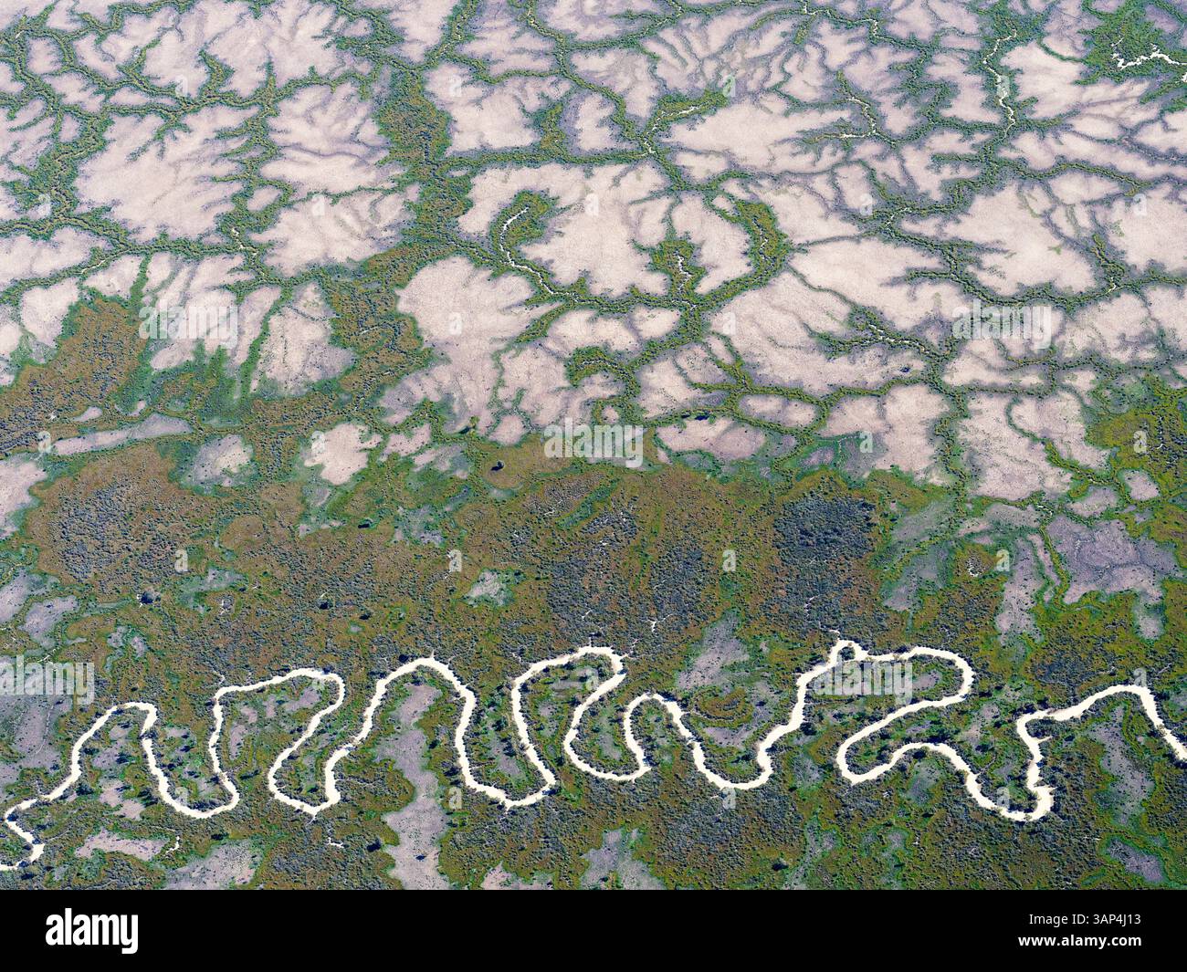 Aerial view of winding Cooper Creek through flood plain and wetlands ...