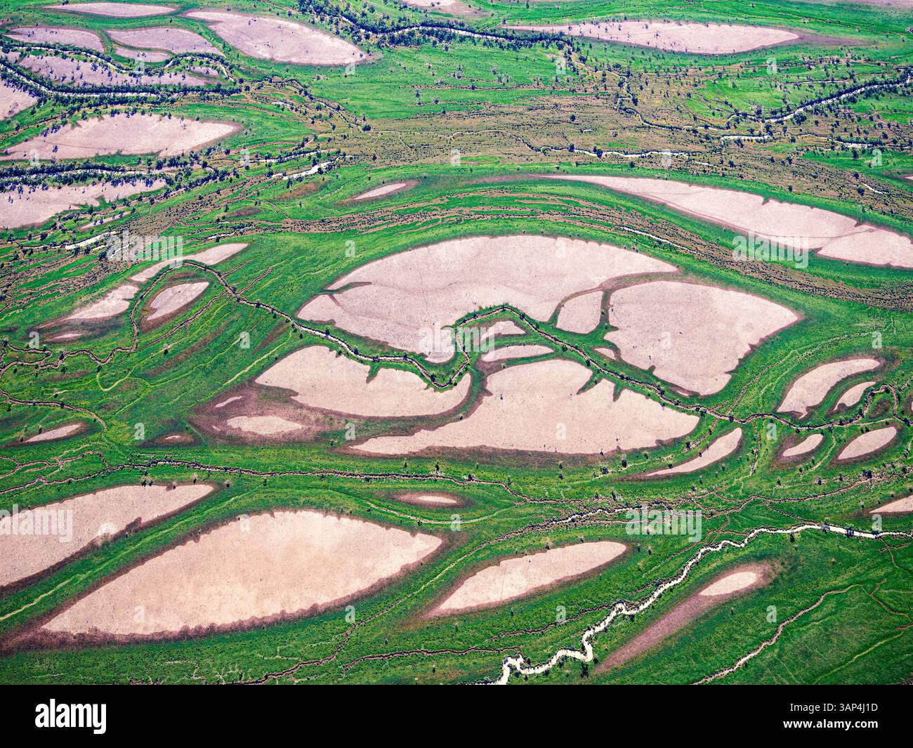 Aerial view of Cooper Creek and wetlands in flood plain, Tanbar ...