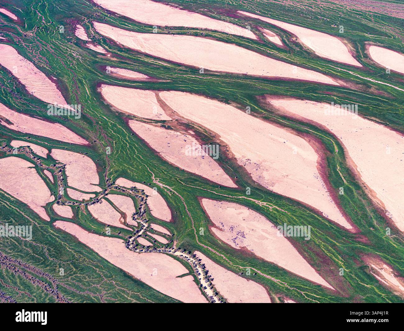 Aerial view of meandering Cooper Creek on flood plain, Tanbar ...