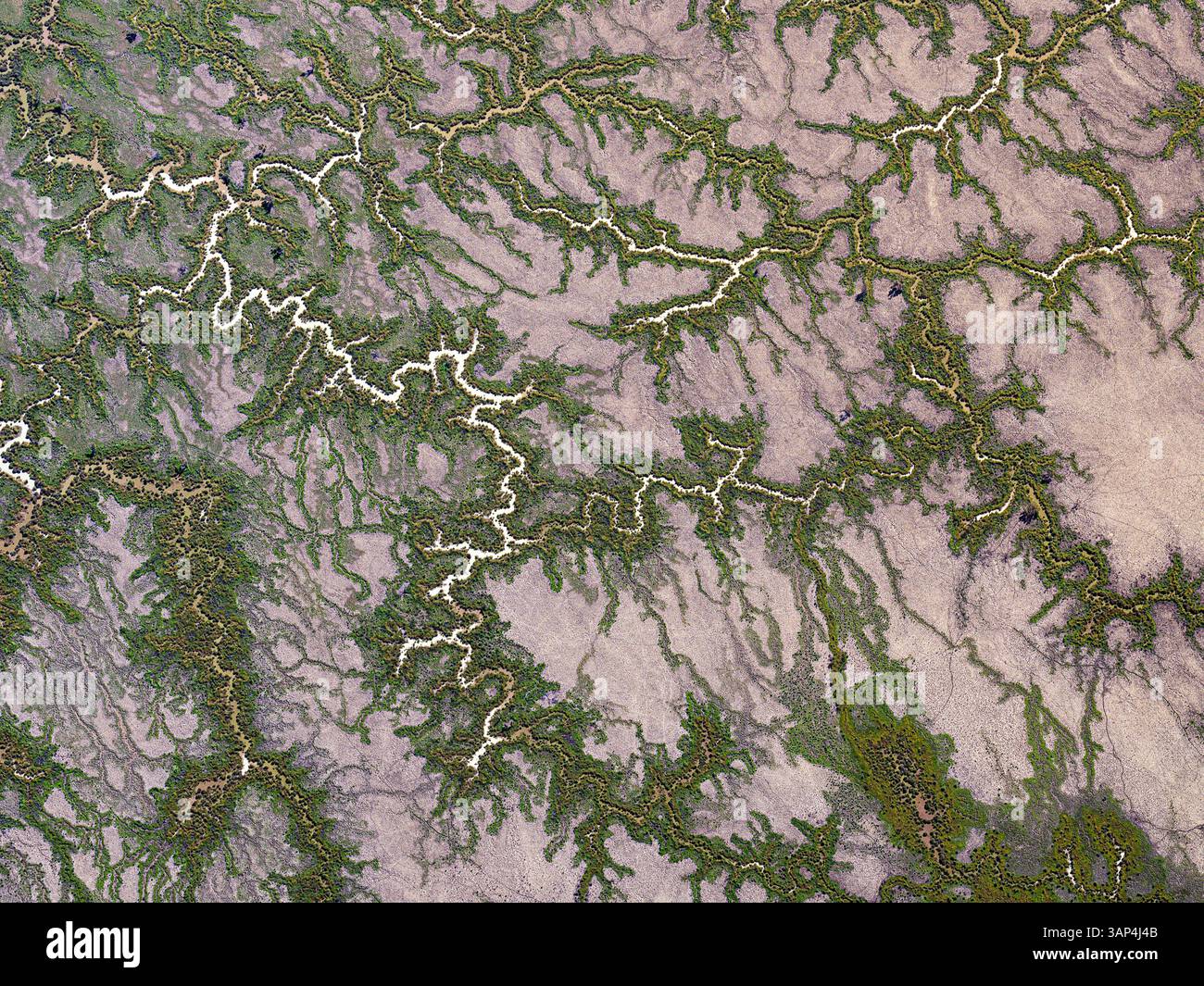 Aerial view seasonal wetlands hi-res stock photography and images - Alamy