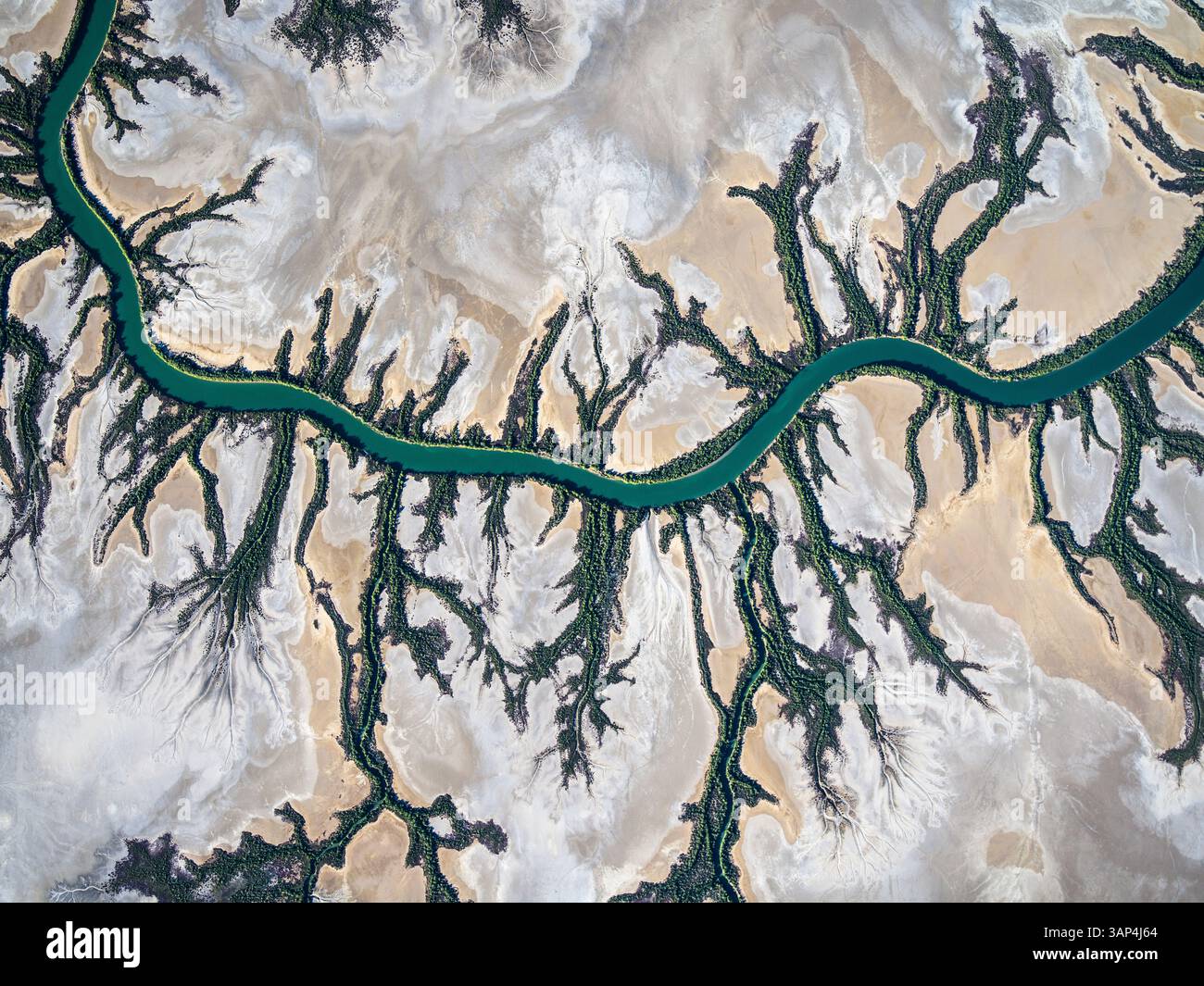 Aerial view of meandering river and flood plain in Gulf of Carpentaria ...