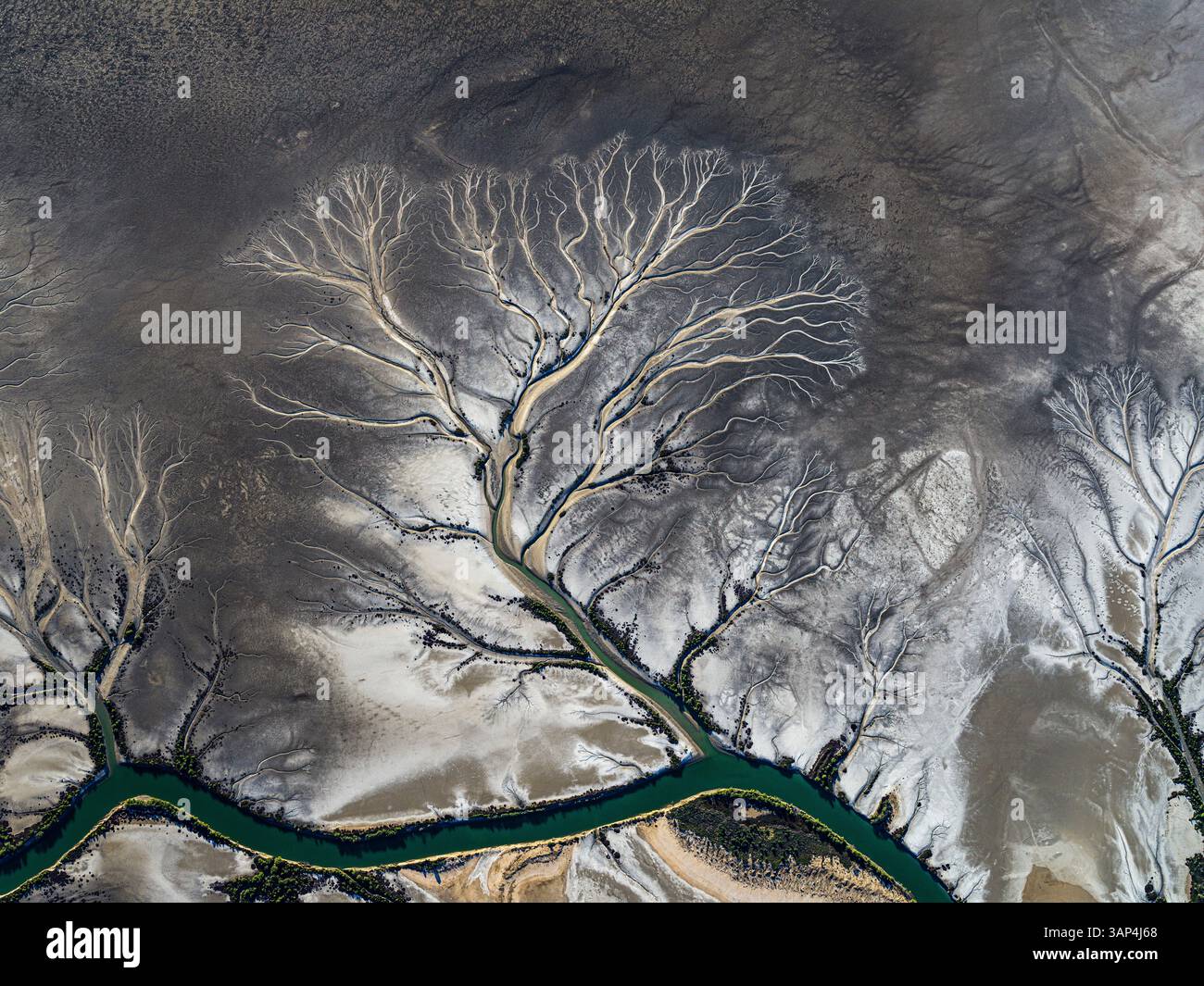 Aerial view of river winding through flood plain and delta in Gulf of ...