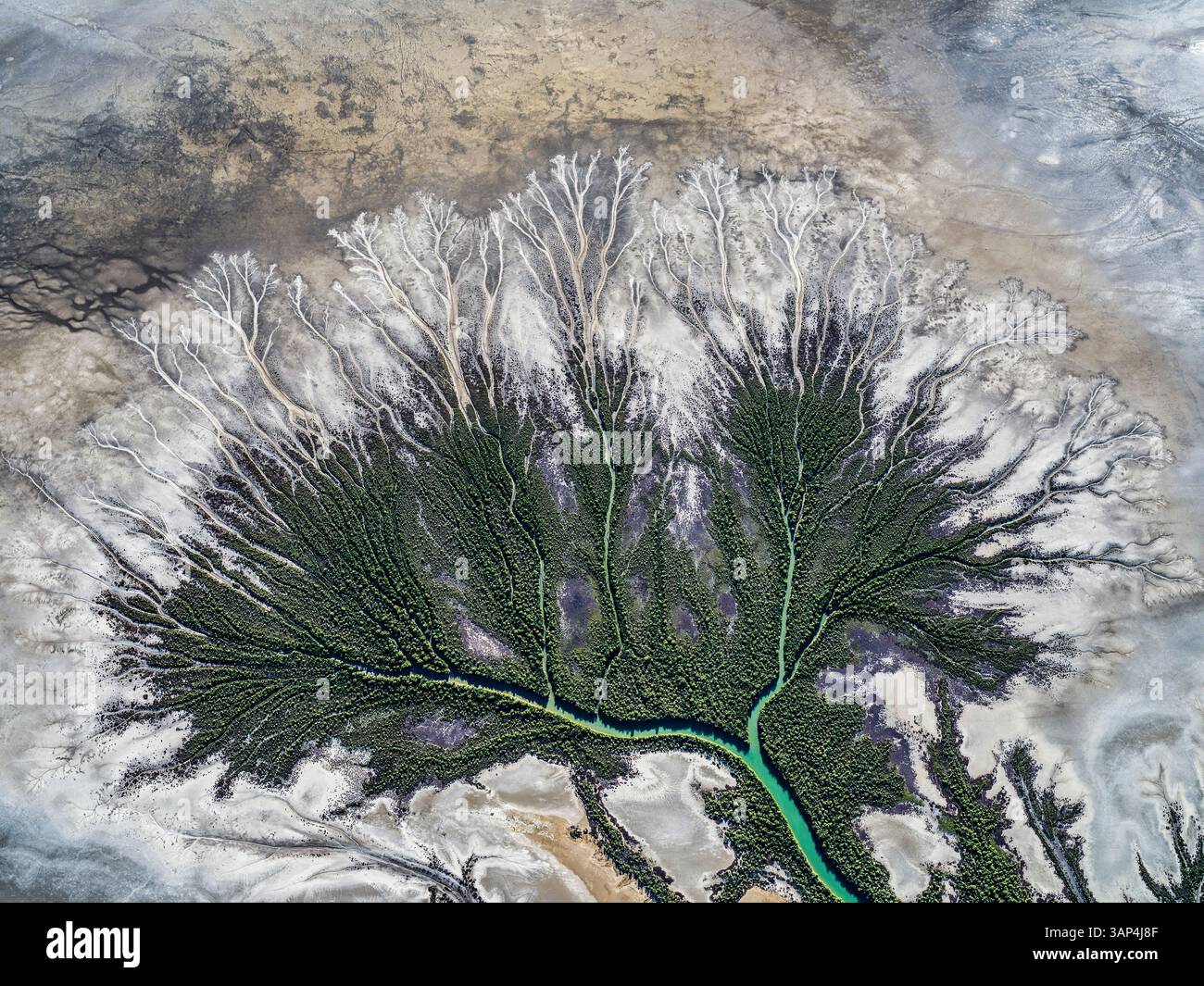 Aerial view of flood plain and Gulf of Carpentaria, Burketown ...