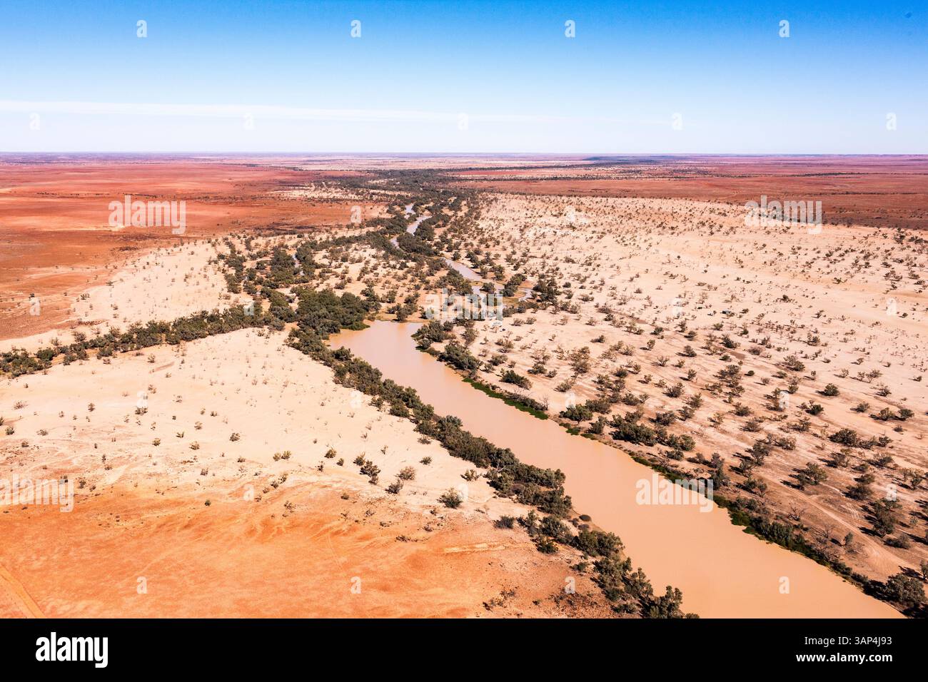 Aerial view of desert landscape with river and vegetation, Cooper Creek ...