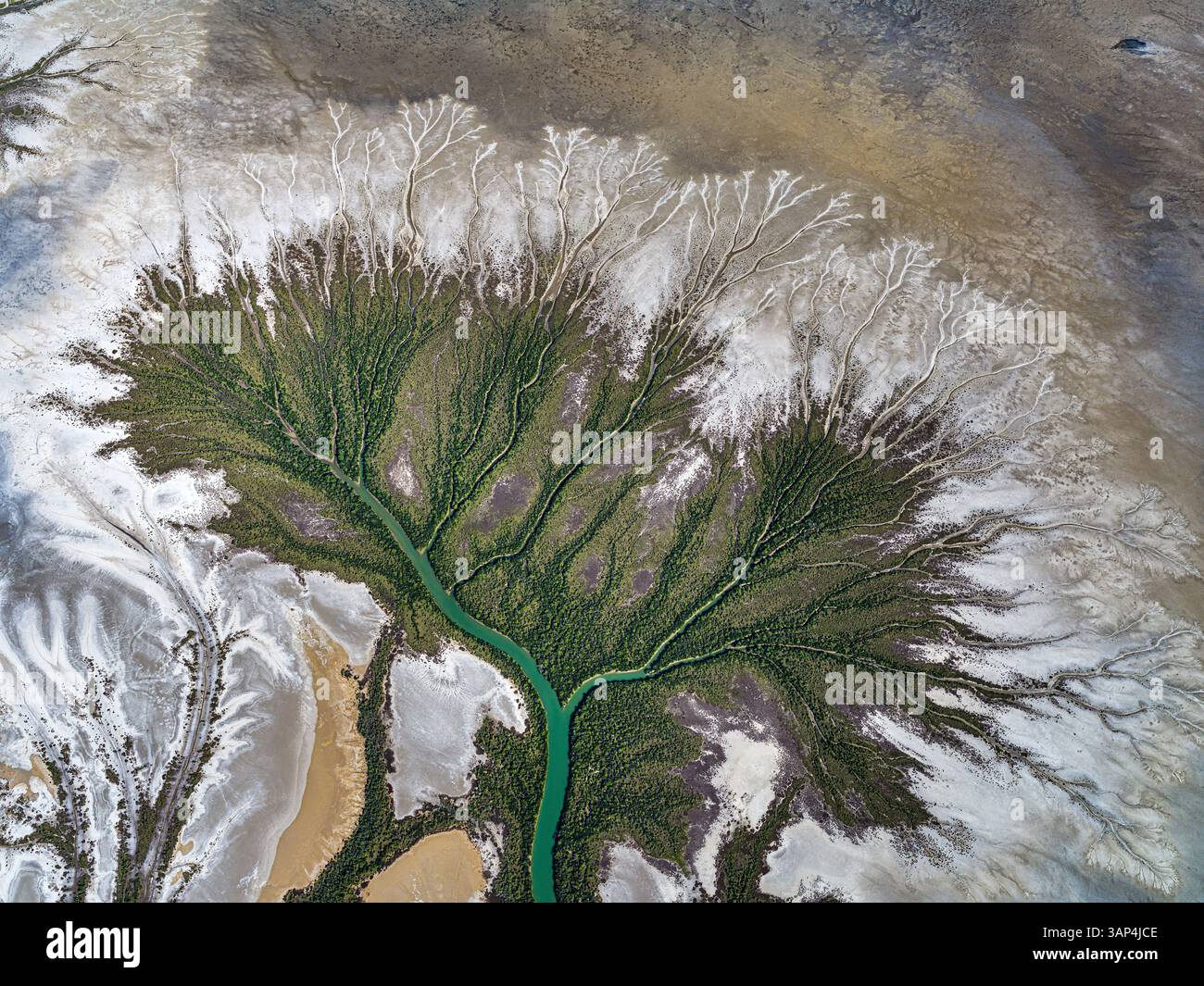 Aerial view of river delta with branching wetland in Gulf of ...
