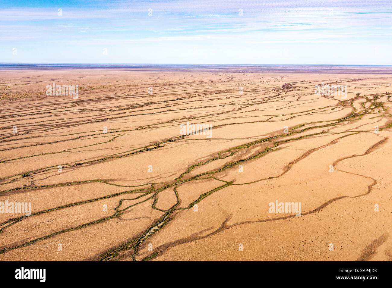 Aerial view of vast desert landscape with channels and flood plain ...