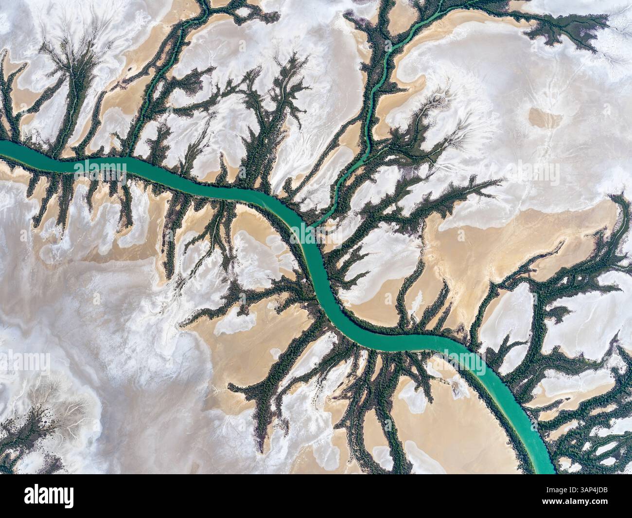 Aerial view of meandering river through flood plain and wetlands, Gulf ...