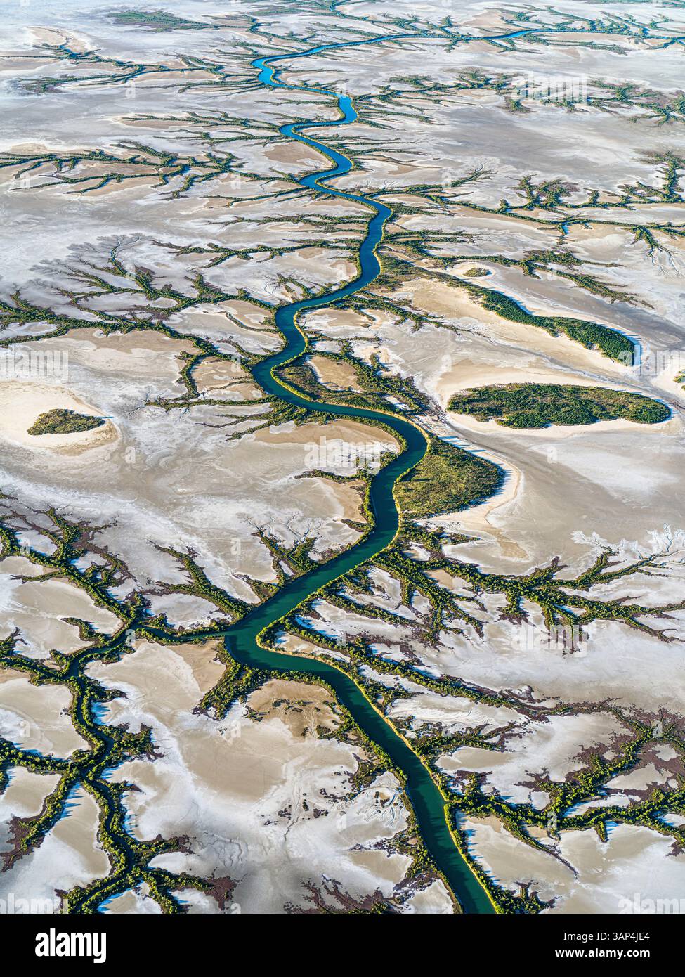 Aerial view of winding river through flood plain and wetlands ...