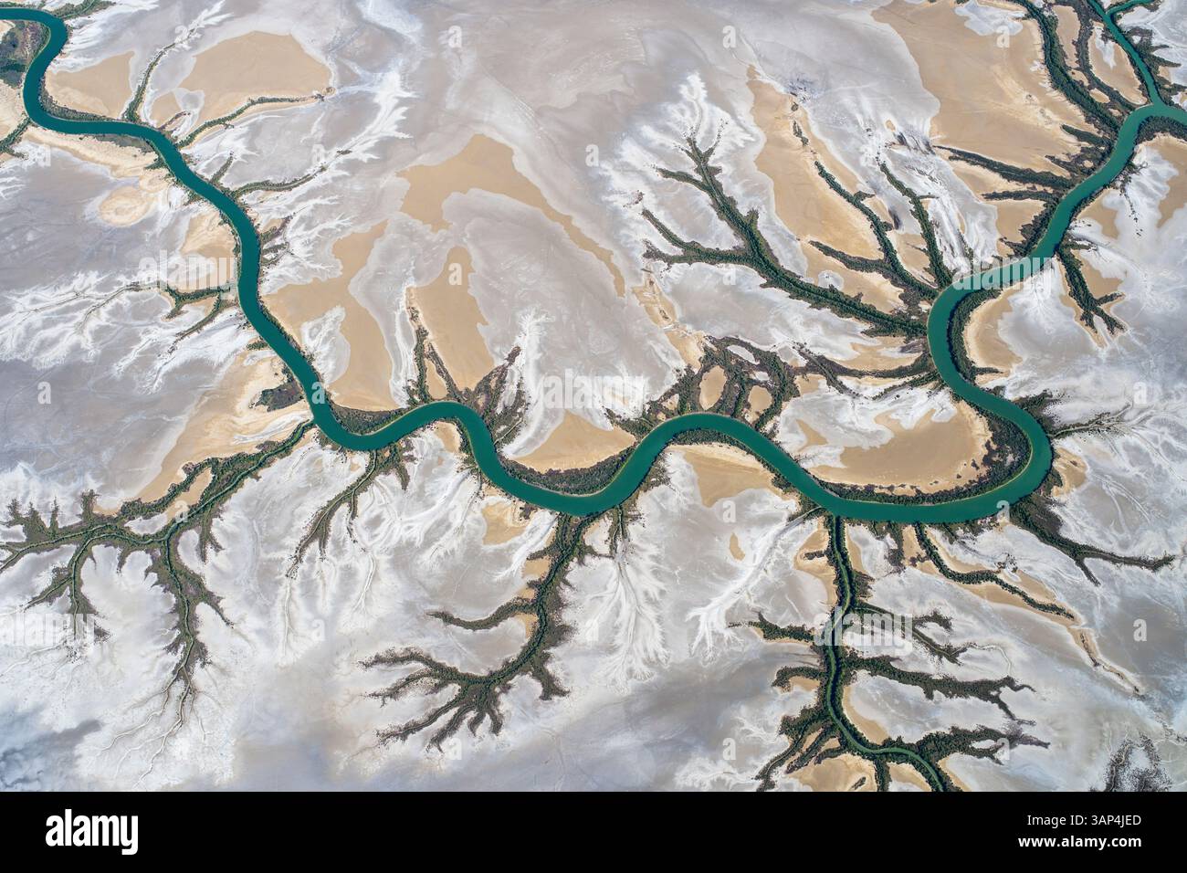 Aerial view of meandering river and flood plain in Gulf of Carpentaria ...