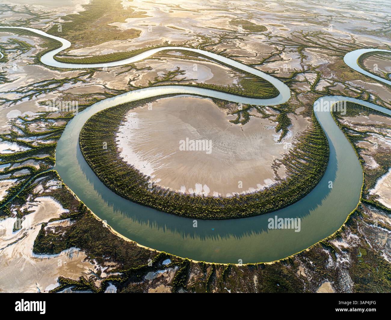 Aerial view of meandering river through serpentine curves in marshland, Gin Arm Creek, Gulf of ...