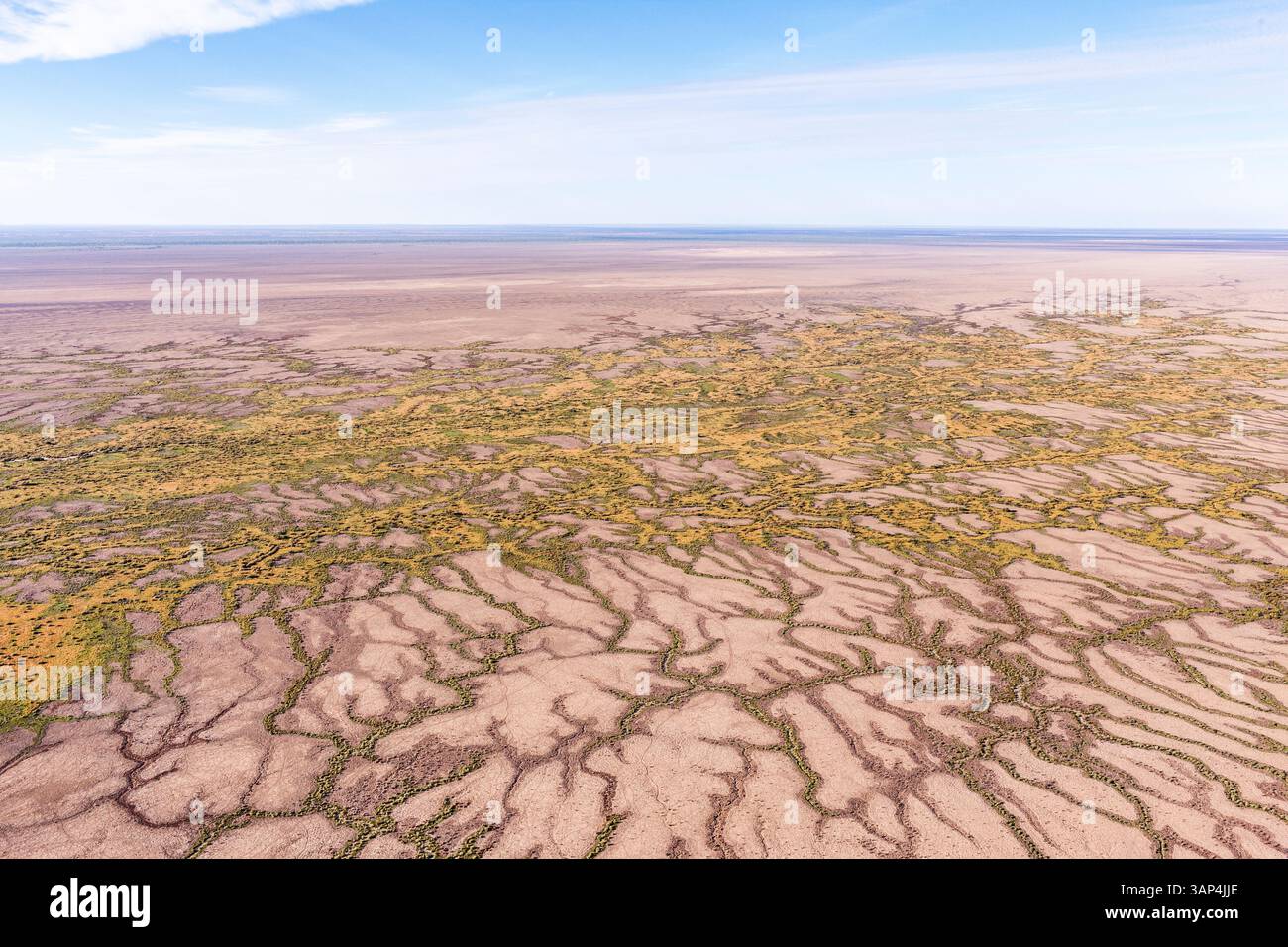 Aerial view of Cooper Creek flood plain in Channel Country, Cameron ...