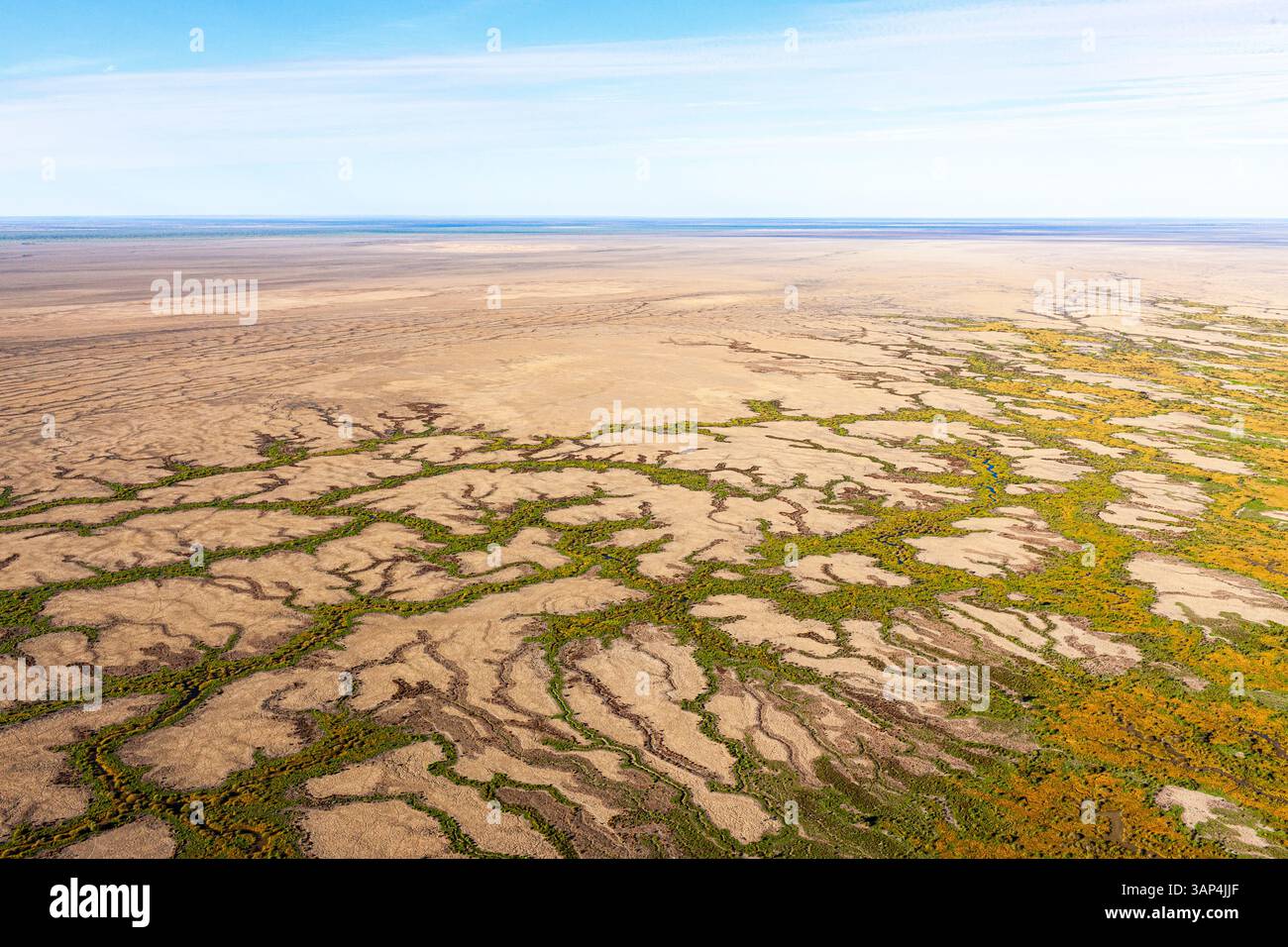 Aerial view of Cooper Creek in flood plain, Channel Country, Queensland ...