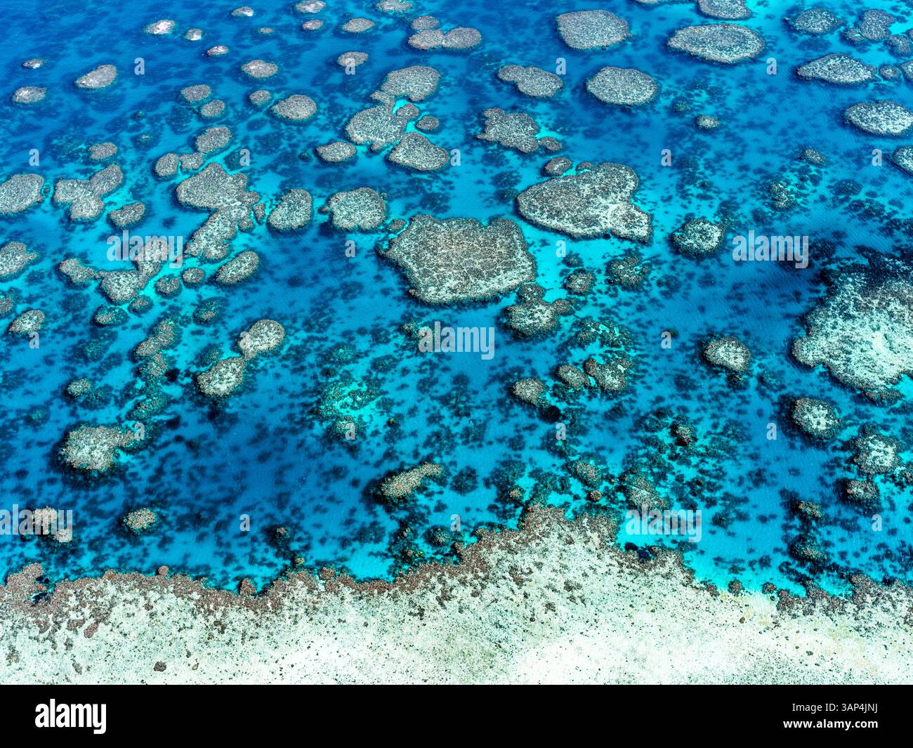 Aerial view of vibrant coral reef in Hardy Reef, Great Barrier Reef ...