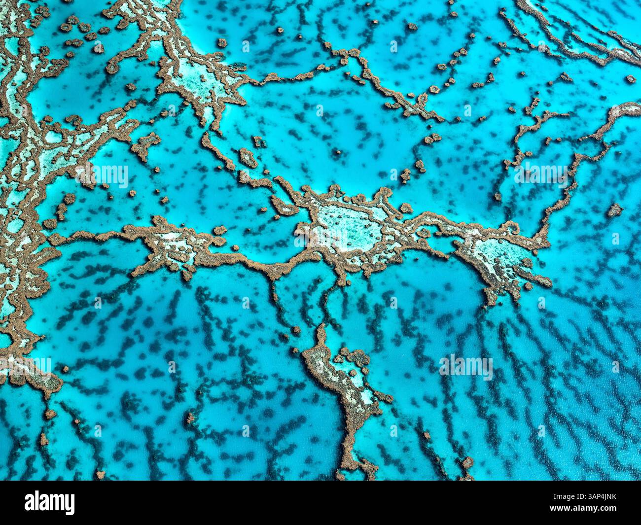 Aerial view of vibrant coral reef in turquoise waters, Hardy Reef ...