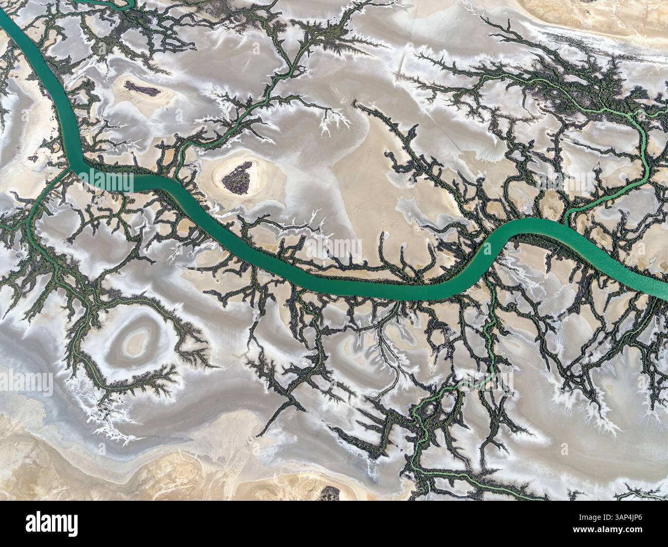 Aerial view of meandering green river in desert with sand and branches ...