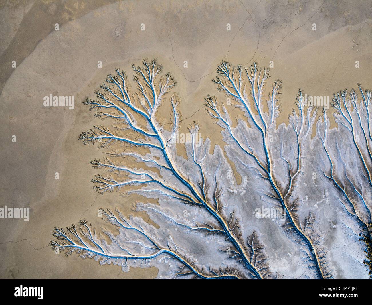 Aerial view of unique river delta terrain with tree-like branches ...