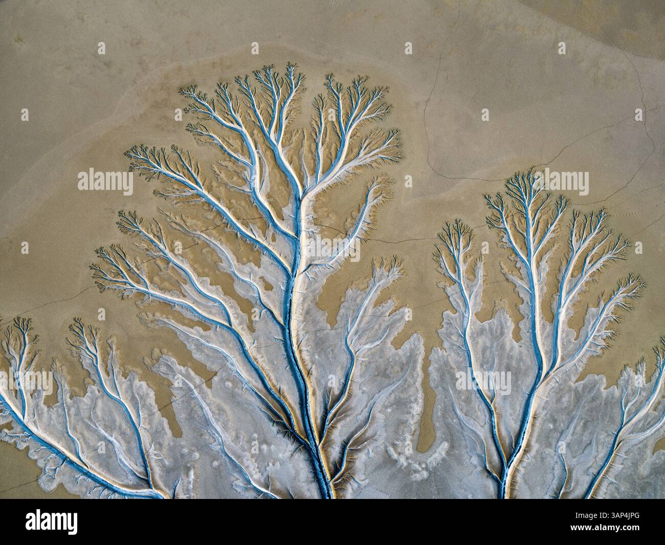 Aerial view of river patterns and tree-like formations in Accident ...