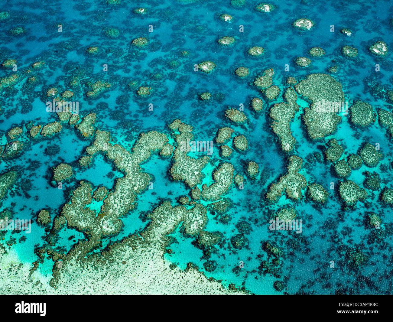 Aerial view of Hardy Reef in Great Barrier Reef, Queensland, Australia ...