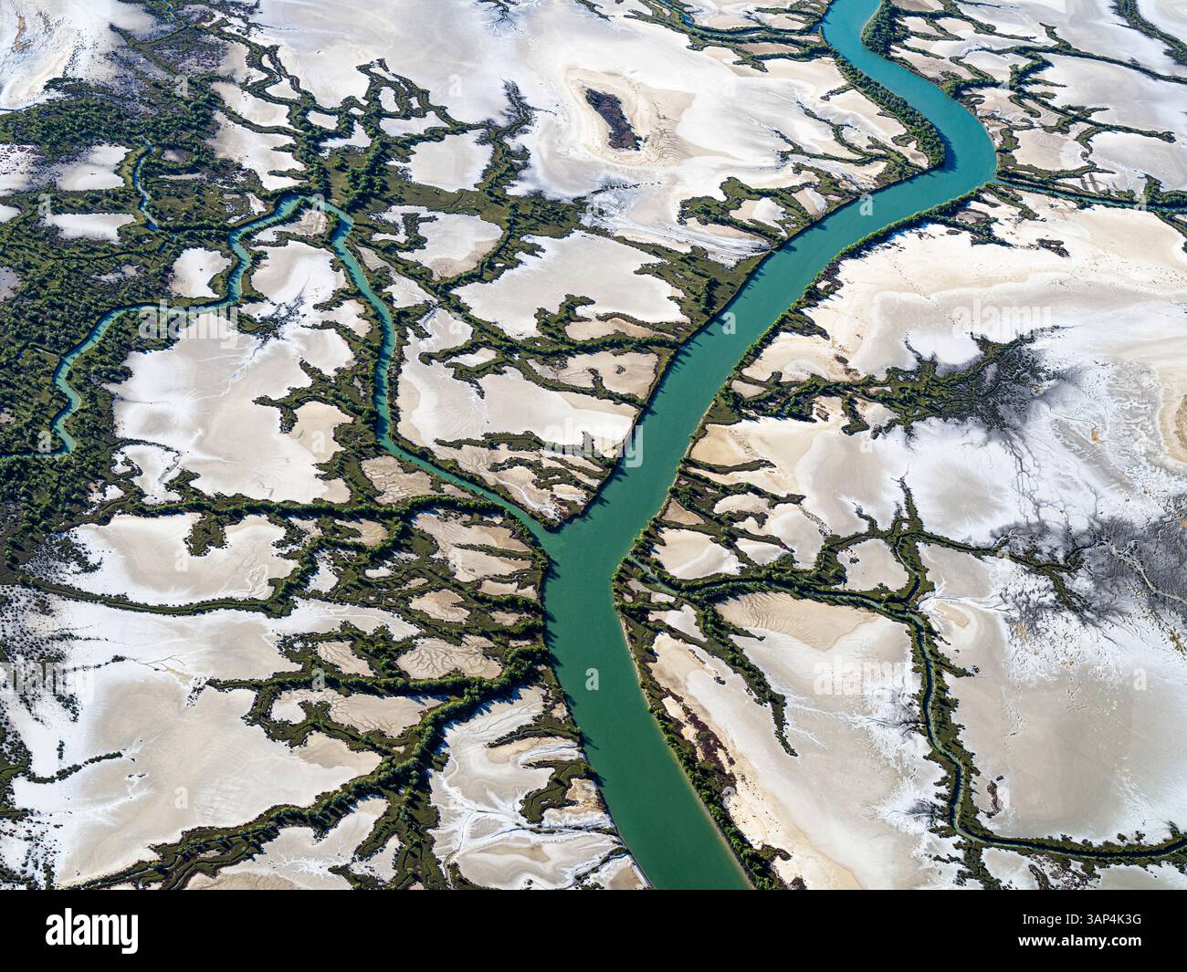 Aerial view of river network with tributaries, wetlands, and mangroves ...