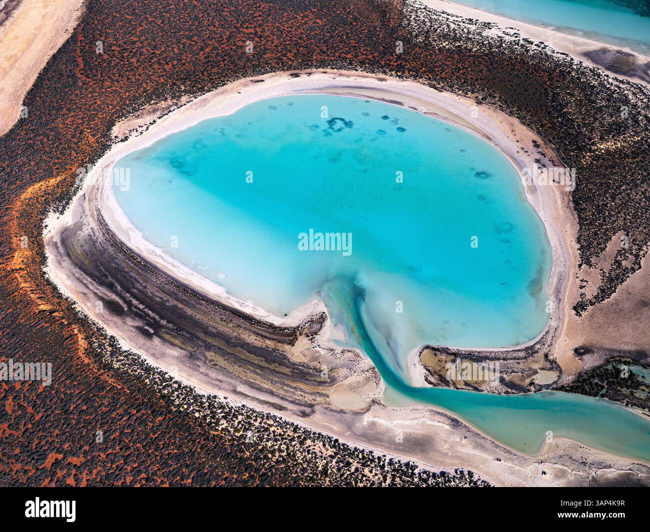 Aerial view of turquoise water lagoon and coastline, Shark Bay, Western ...