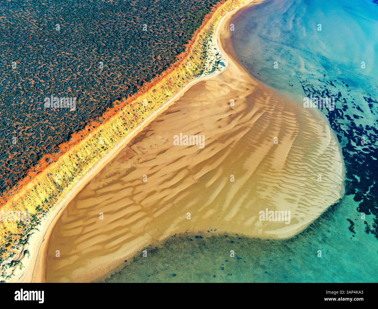 Aerial view of pristine beach and turquoise water in Shark Bay, Western ...