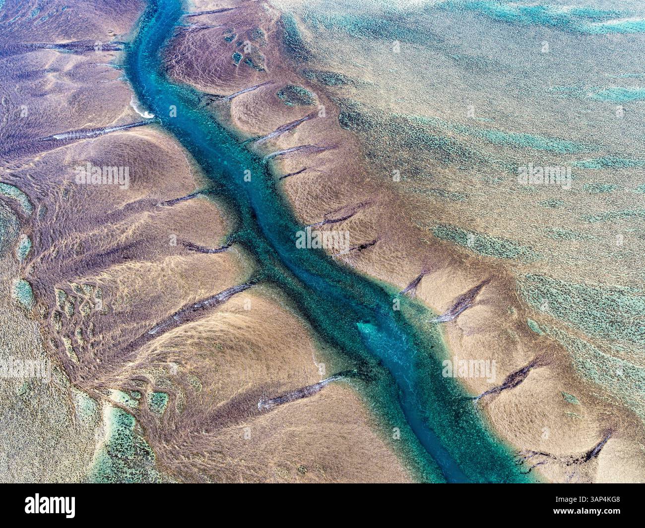 Aerial view of serpentine river patterns at Montgomery Reef, The ...