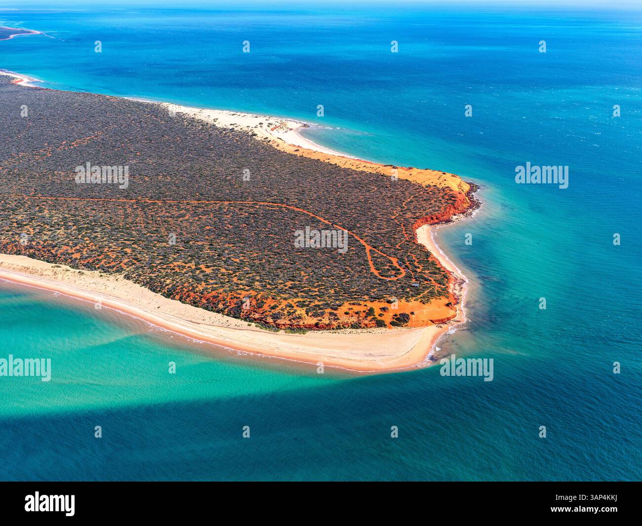 Aerial view of tranquil Shark Bay coastline with turquoise water and ...