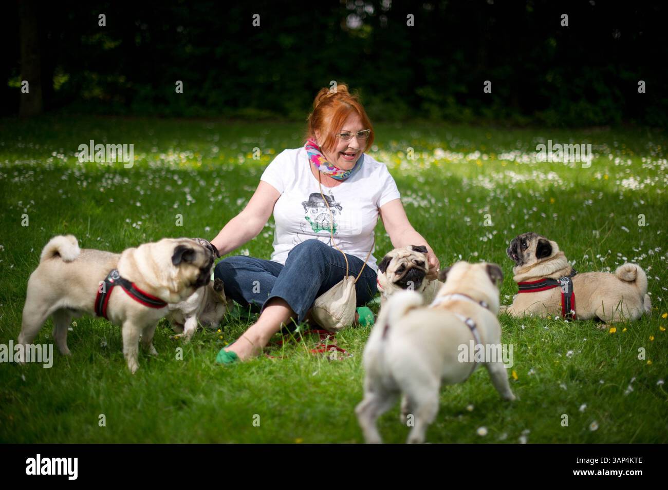 2. Großes Mops Festival. 17.05.2015 Friedberg Ockstadt 2. Großes Mops ...
