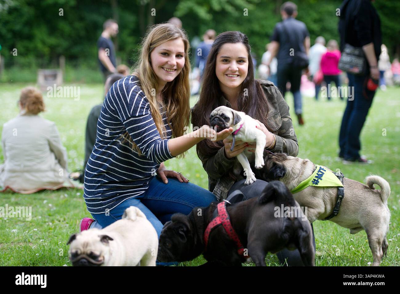 2. Großes Mops Festival. 17.05.2015 Friedberg Ockstadt 2. Großes Mops ...
