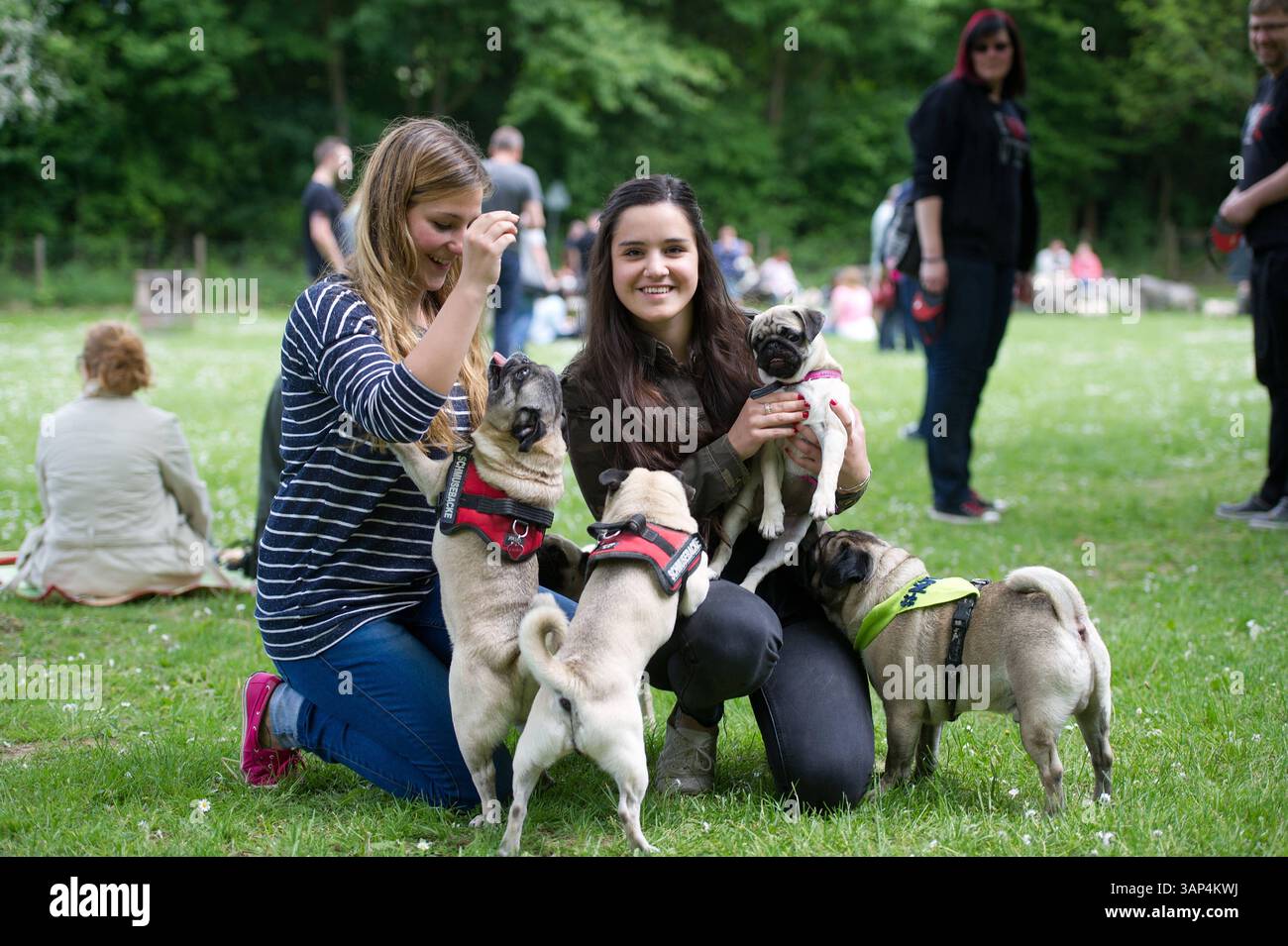 2. Großes Mops Festival. 17.05.2015 Friedberg Ockstadt 2. Großes Mops ...