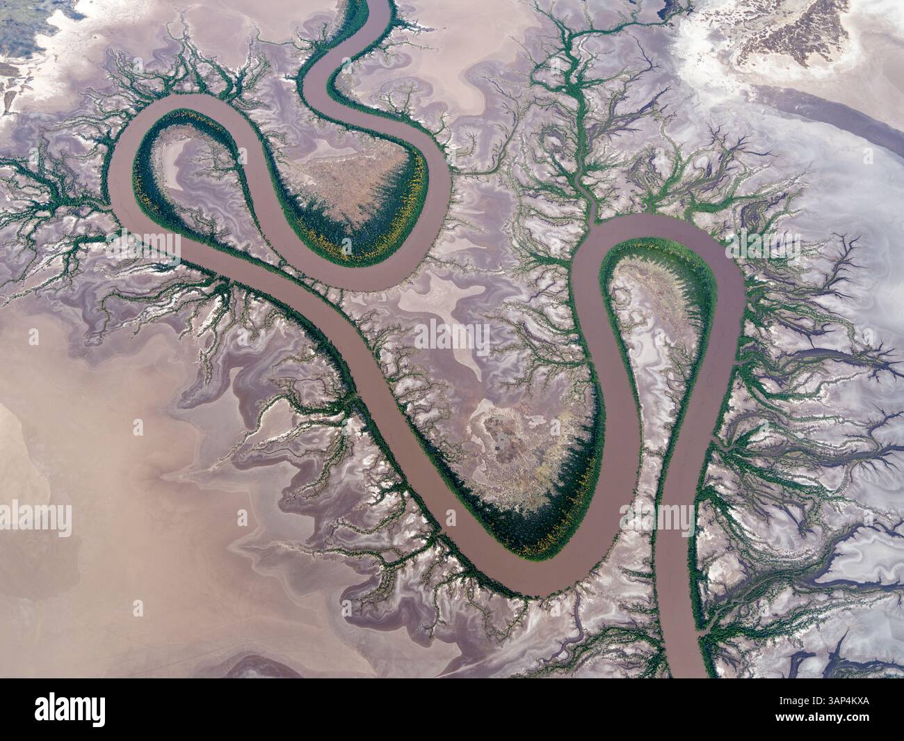 Aerial view of meandering King River with winding patterns, The ...