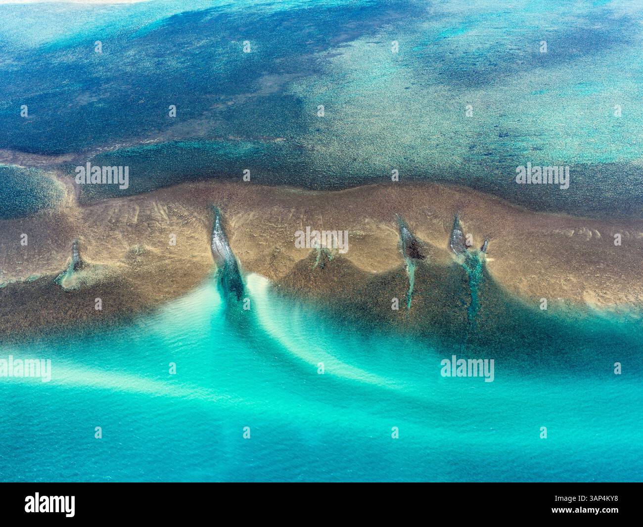 Aerial view of vibrant reef and clear water at Montgomery Reef, The ...