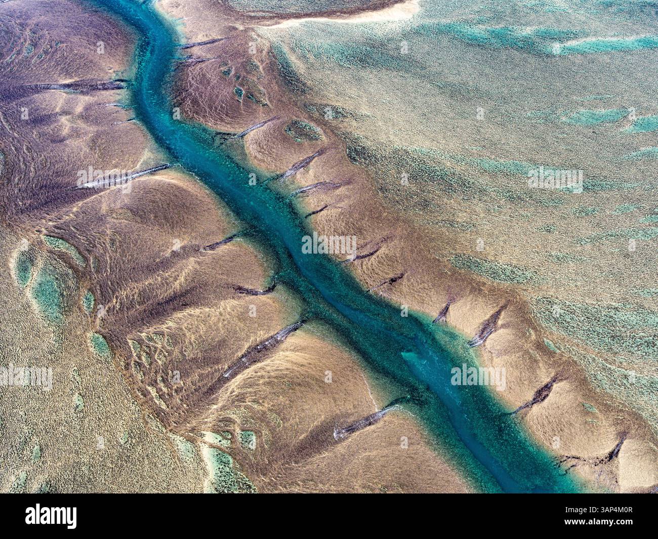 Aerial view of Montgomery Reef with turquoise water and sandy coastline ...