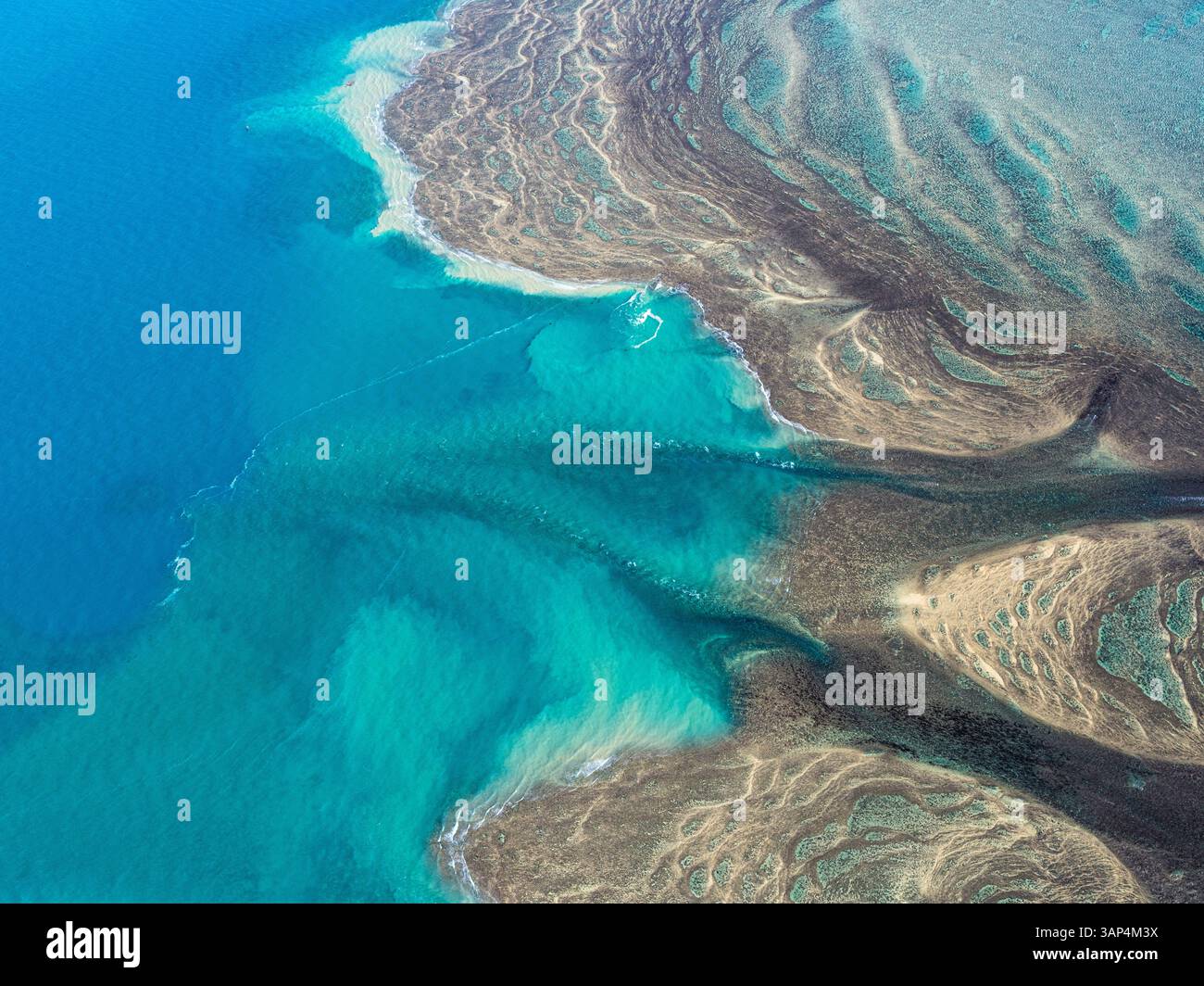 Aerial view of Montgomery Reef in The Kimberley, Western Australia ...
