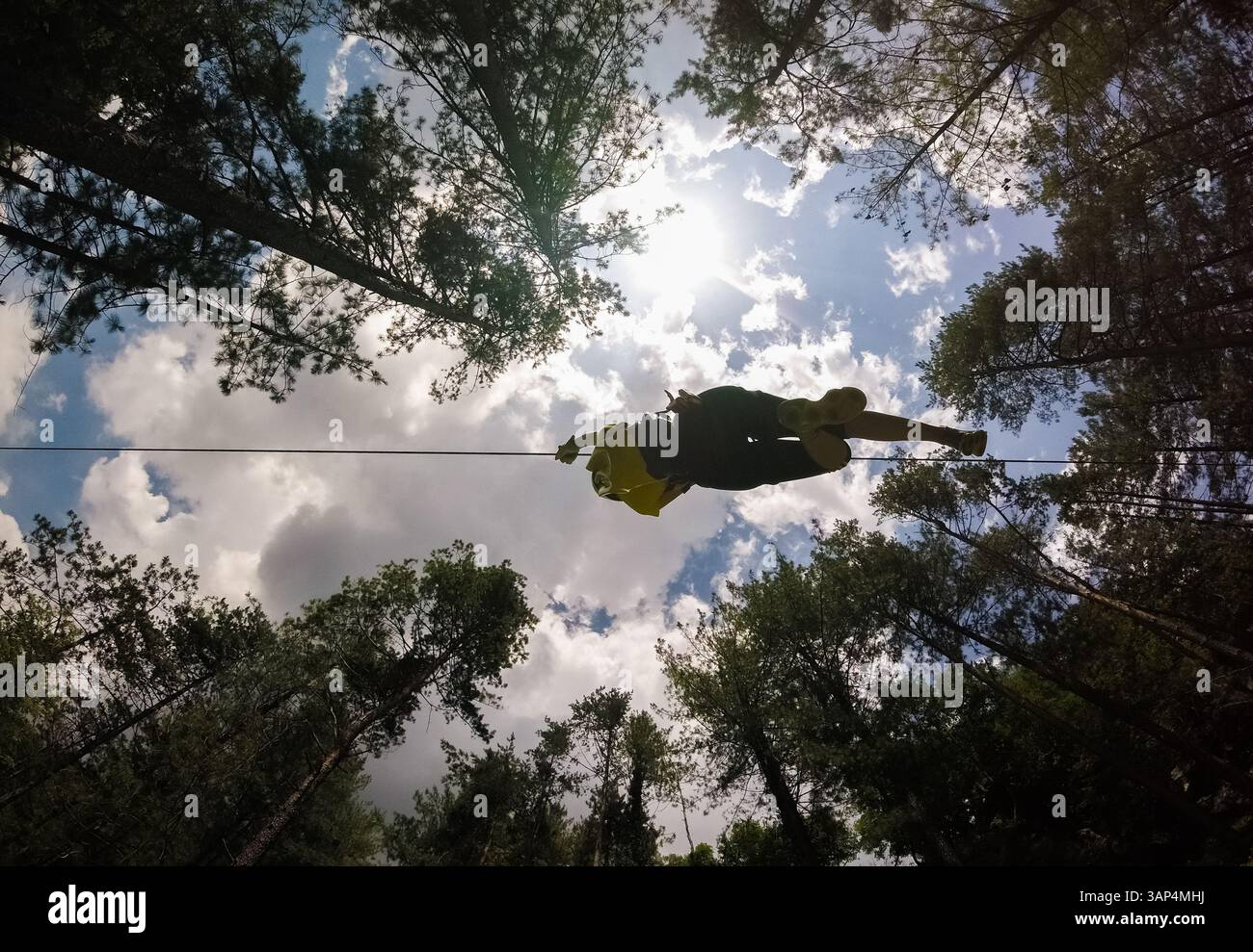 Aerial view of a person crossing the forest through a large zip line ...