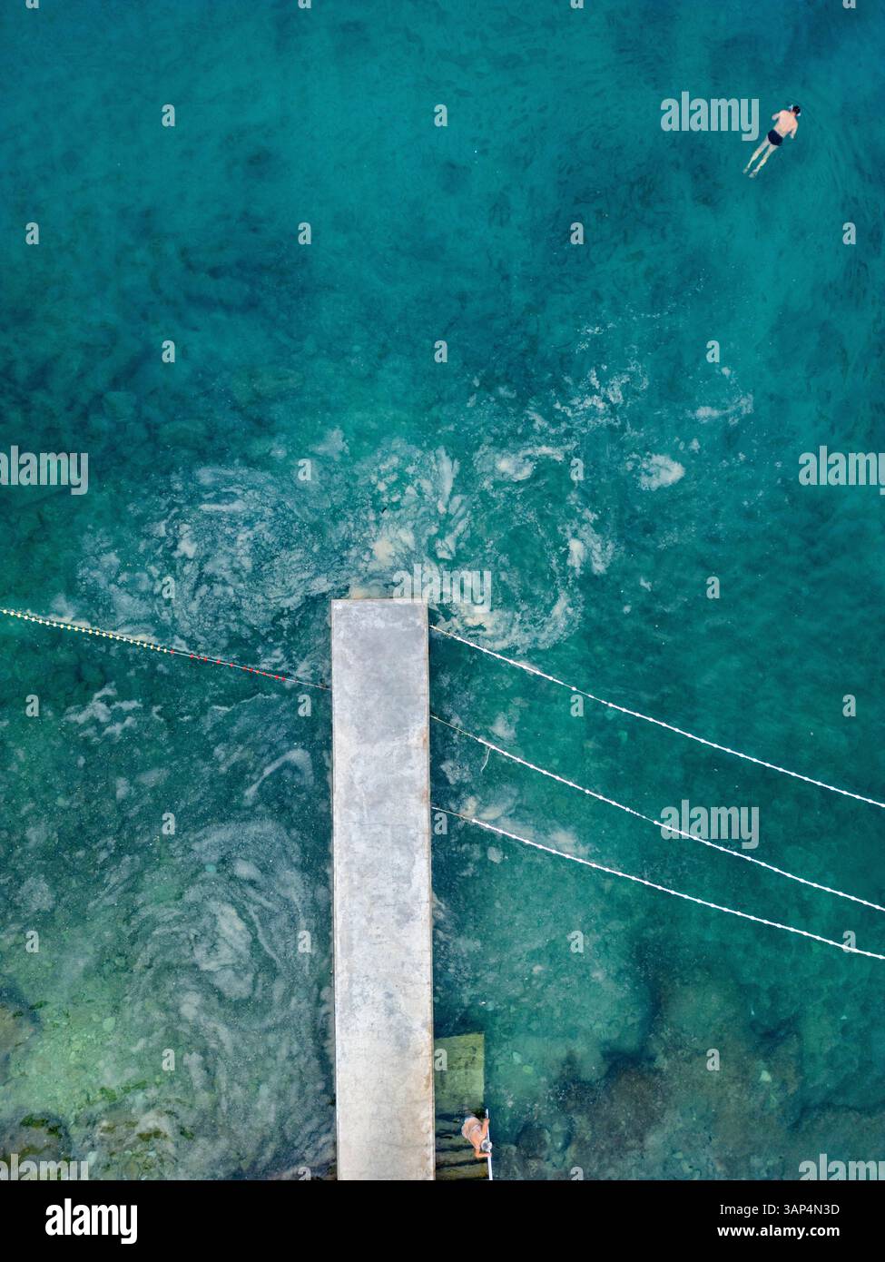 People swimming in algae accumulation in sea hi-res stock photography ...
