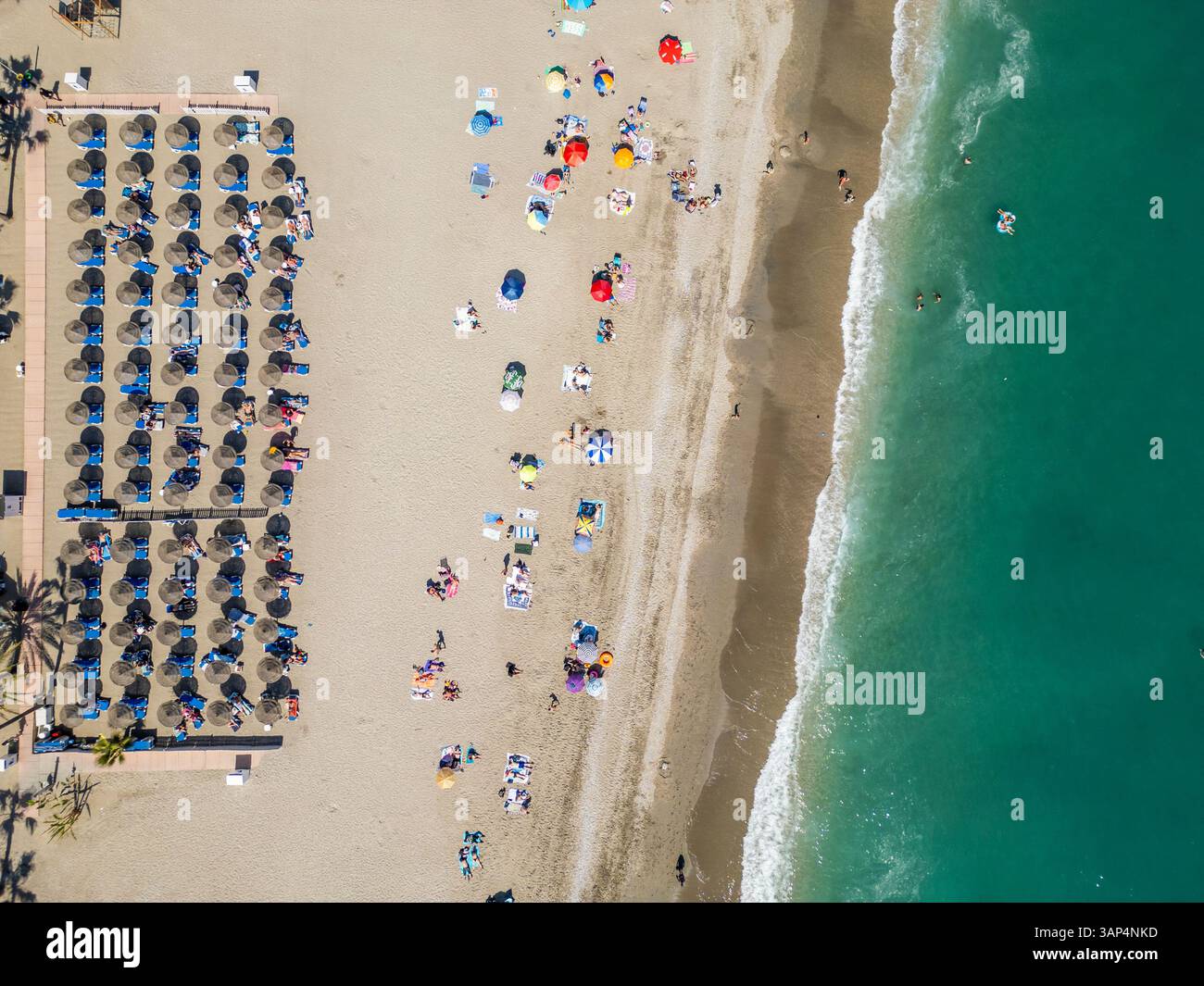 Aerial view of crowded beach with sunloungers and umbrellas, Playa de ...