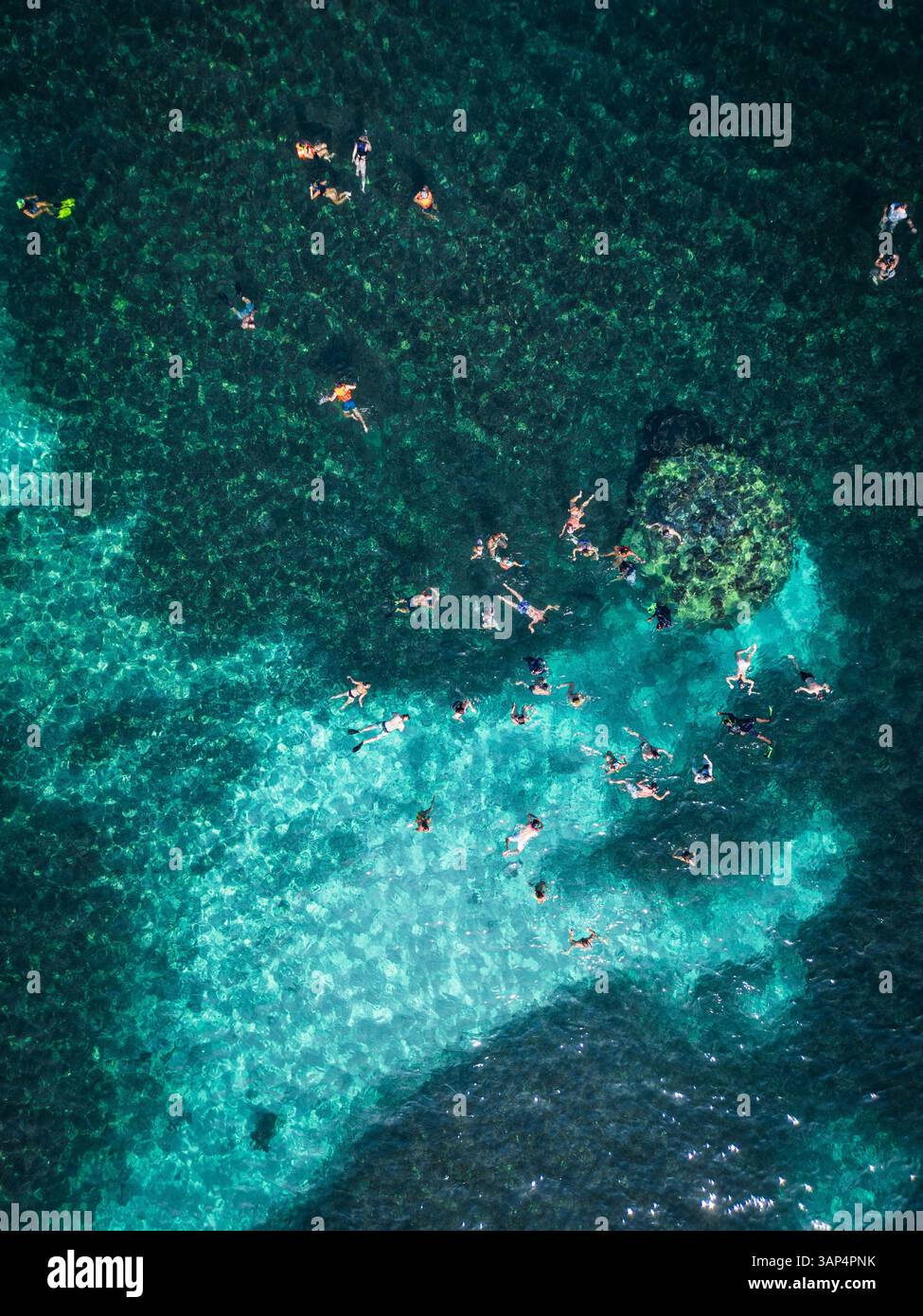 Aerial view of person snorkeling and swimming in transparent sea on ...