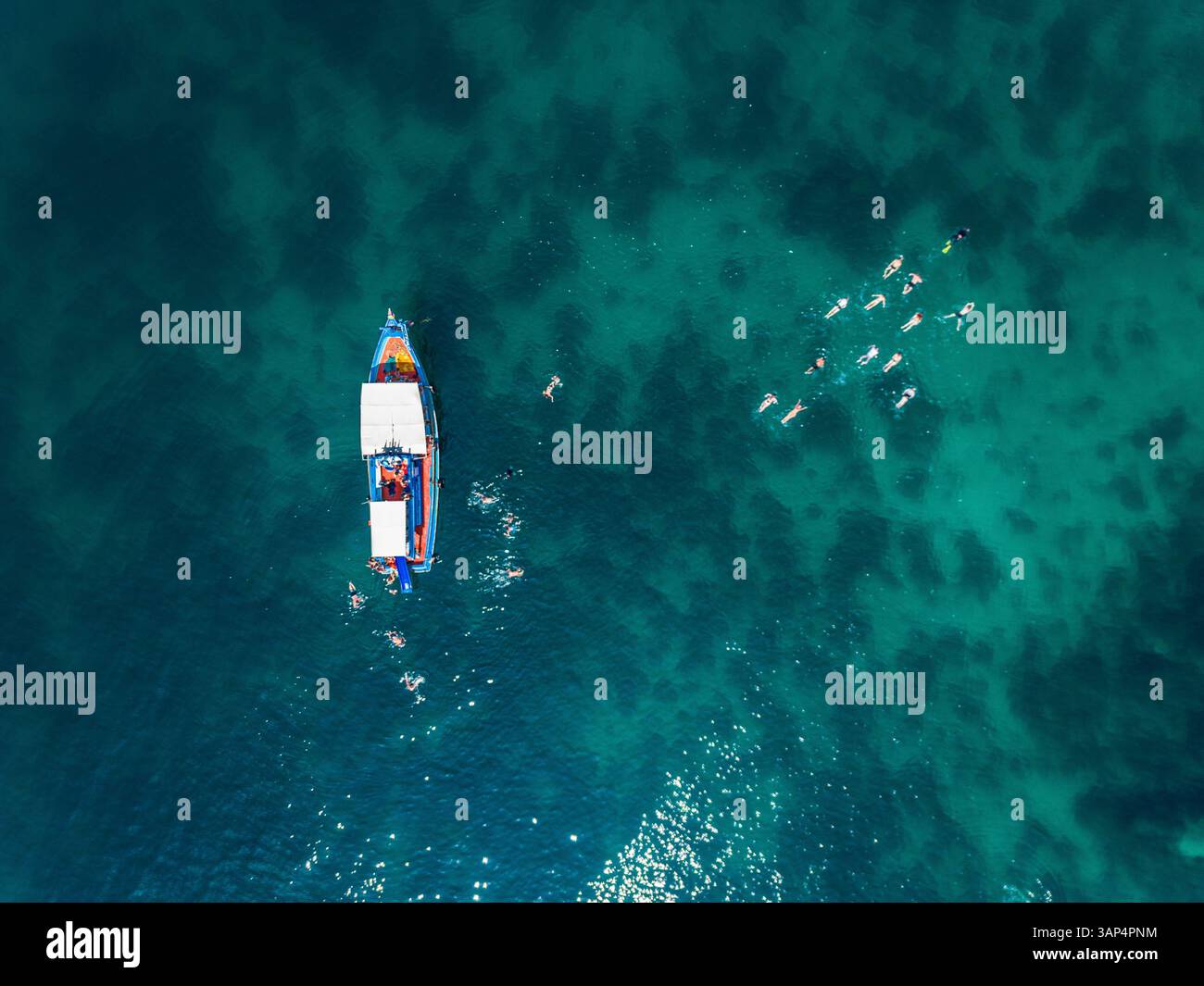 Aerial view of person snorkeling and swimming in transparent sea on ...