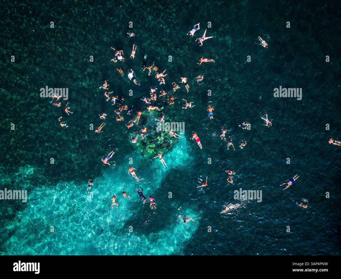 Aerial view of person snorkeling and swimming in transparent sea on ...